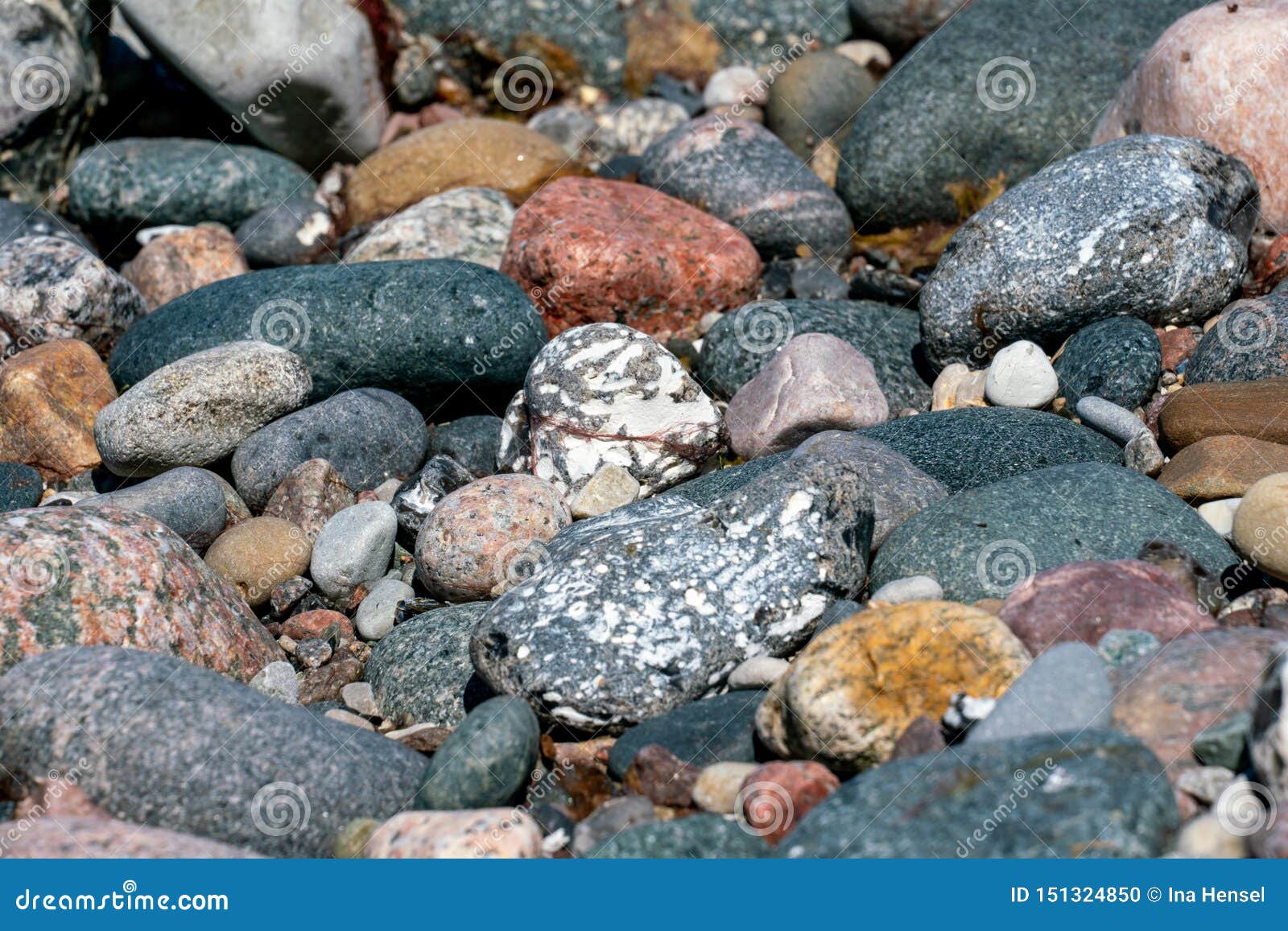 Multi Coloured Pebbles on a Beach Stock Photo - Image of collection ...
