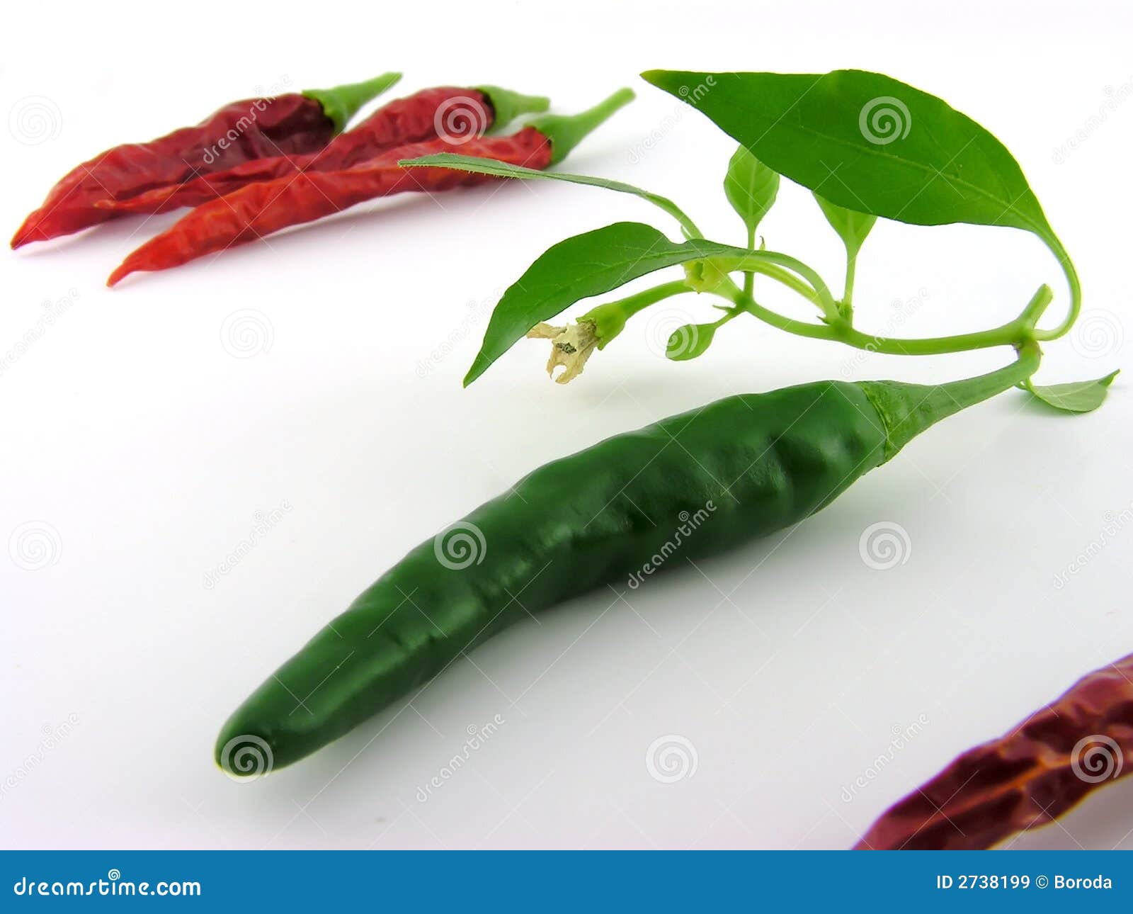 Multi-coloured pepper. stock image. Image of ingredient - 2738199