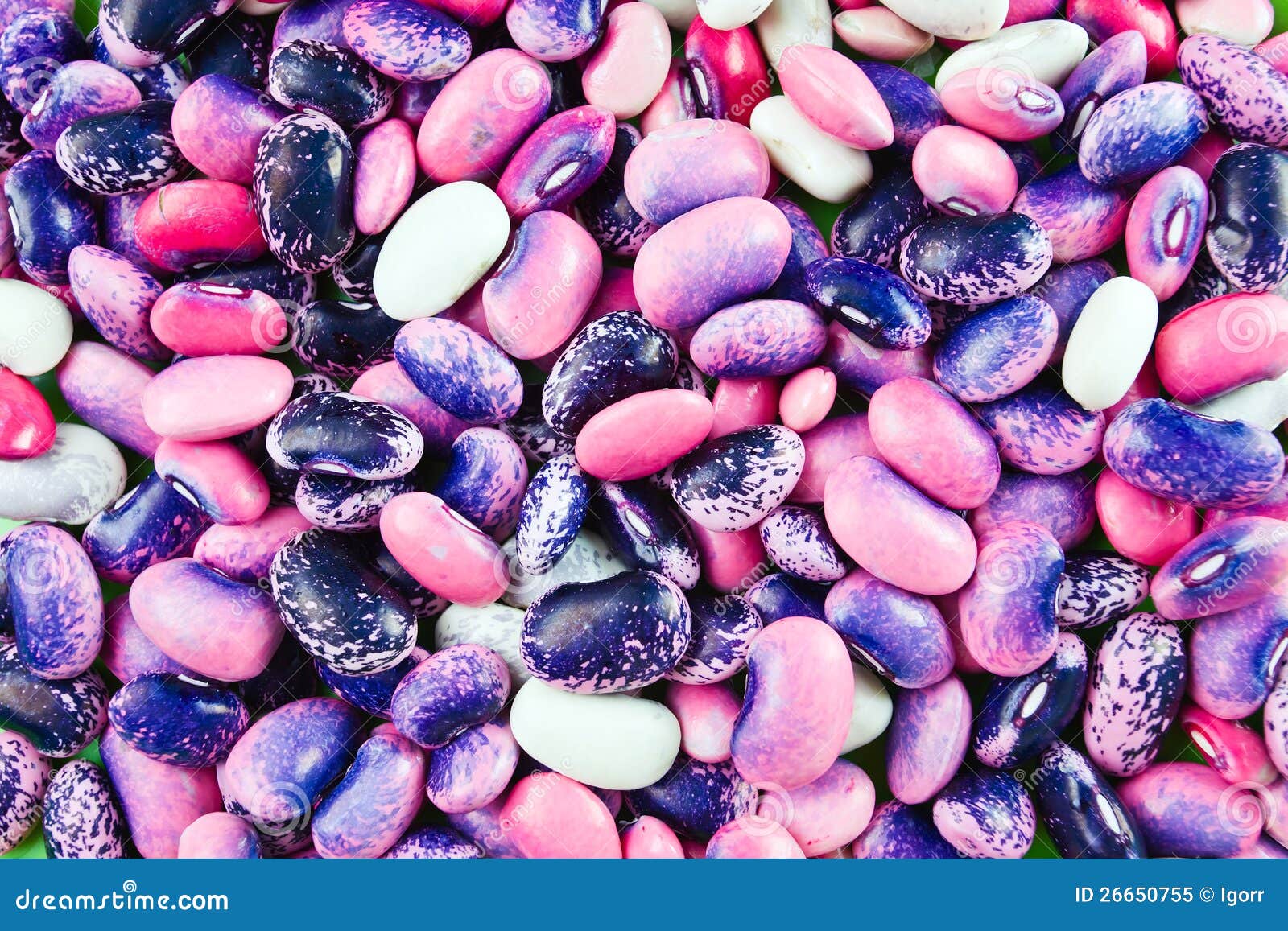 Multi-coloured string bean stock image. Image of agriculture - 26650755