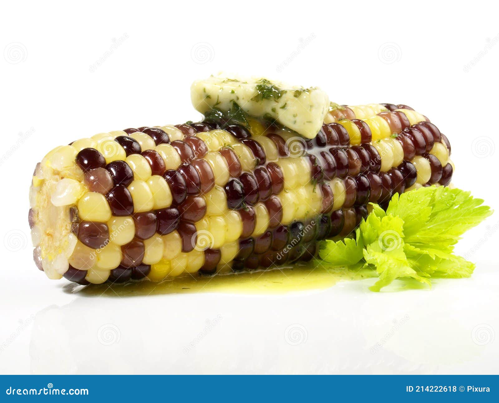 Multi Coloured Sweet Corn Cobs White Background - Isolated Stock Photo ...