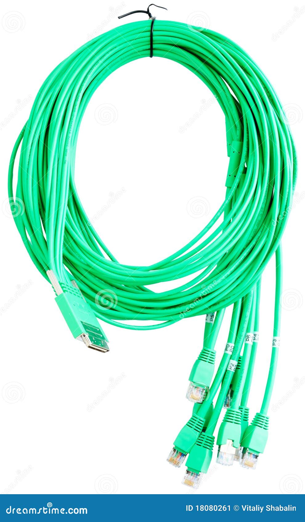 Multi-connector data cable stock image. Image of plug - 18080261