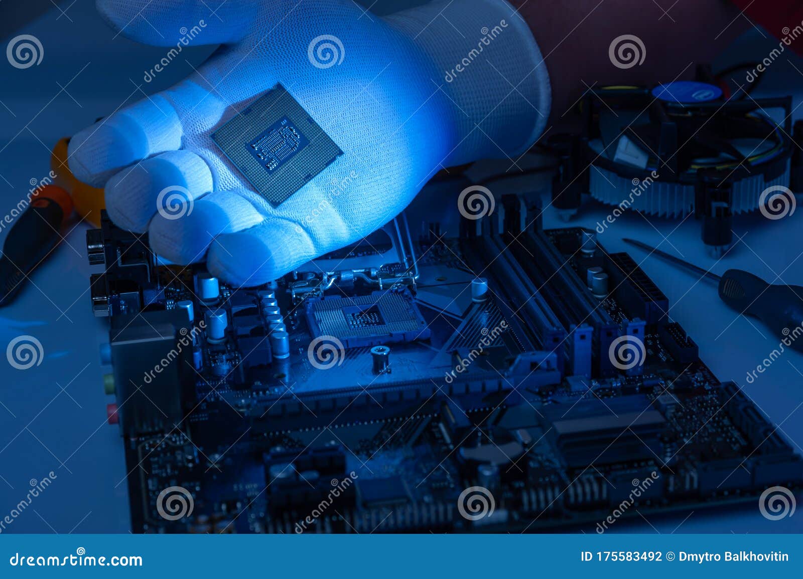 Multi Core CPU Installation on Computer Stock Photo - Image of ...