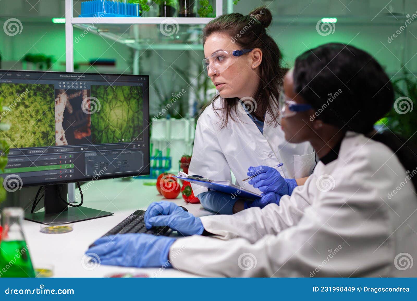 Multi-ethnic Group of Biologists Analyzing Plant Based Experiment on ...