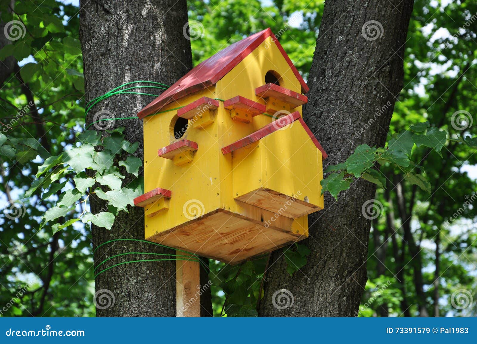 Multi-family birdhouse stock image. Image of hungry, habitat - 73391579