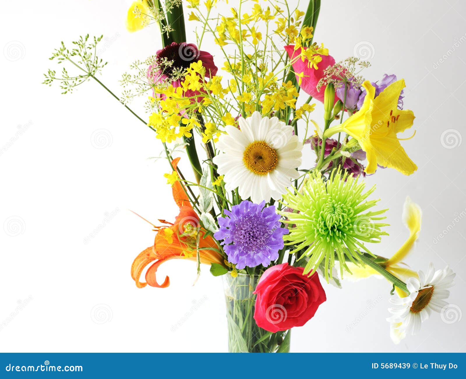 Multi flowers stock image. Image of rapeseed, goutweed - 5689439