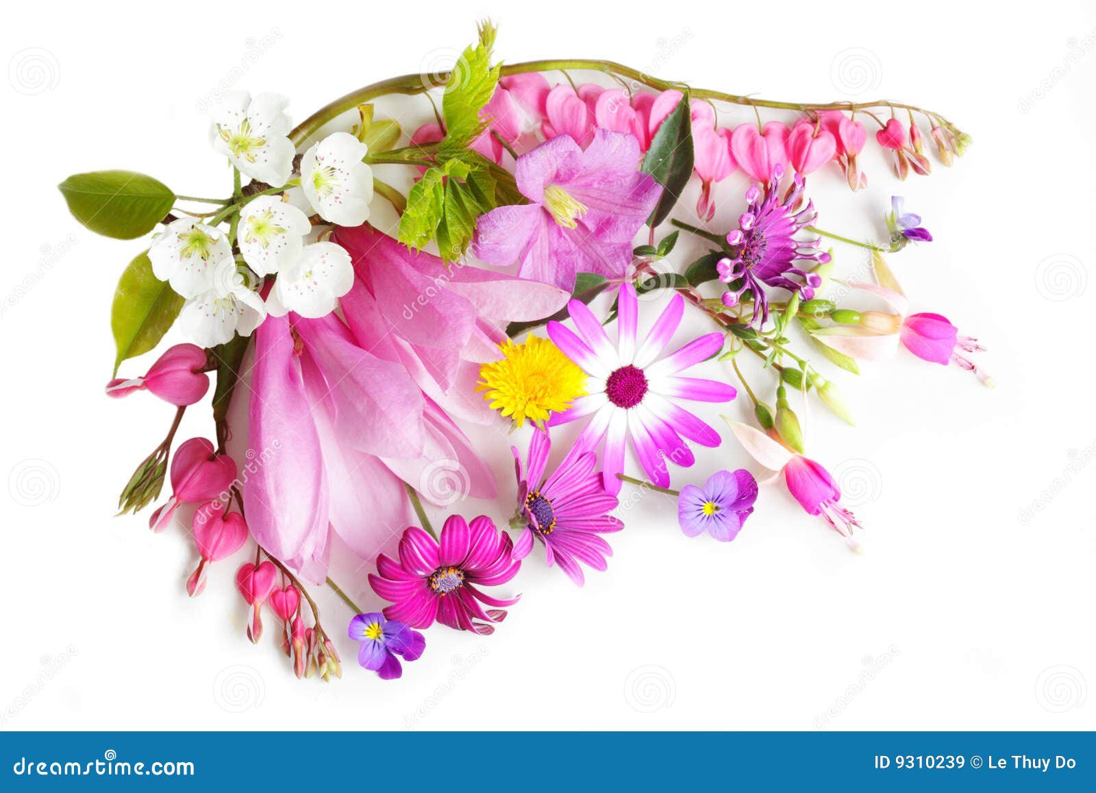 Multi Flowers Royalty Free Stock Images - Image: 9310239