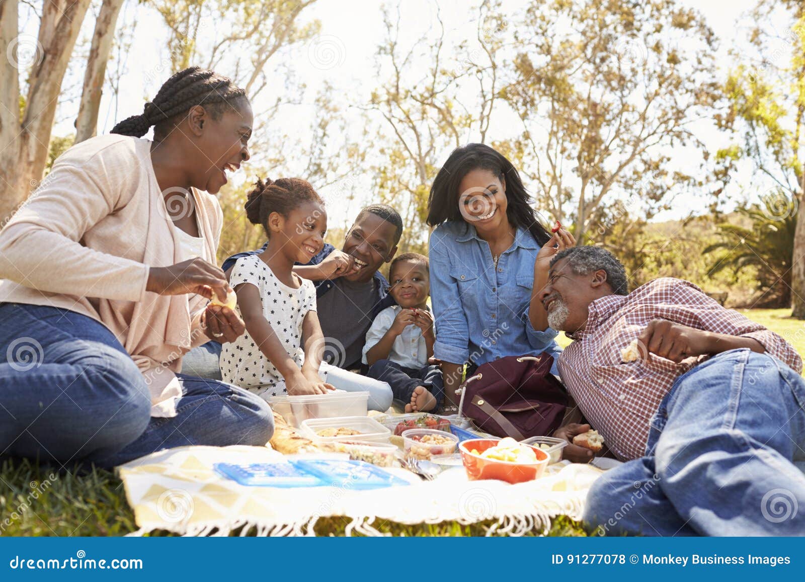 Multi Generation Family Enjoying Picnic in Park Together Stock Photo ...