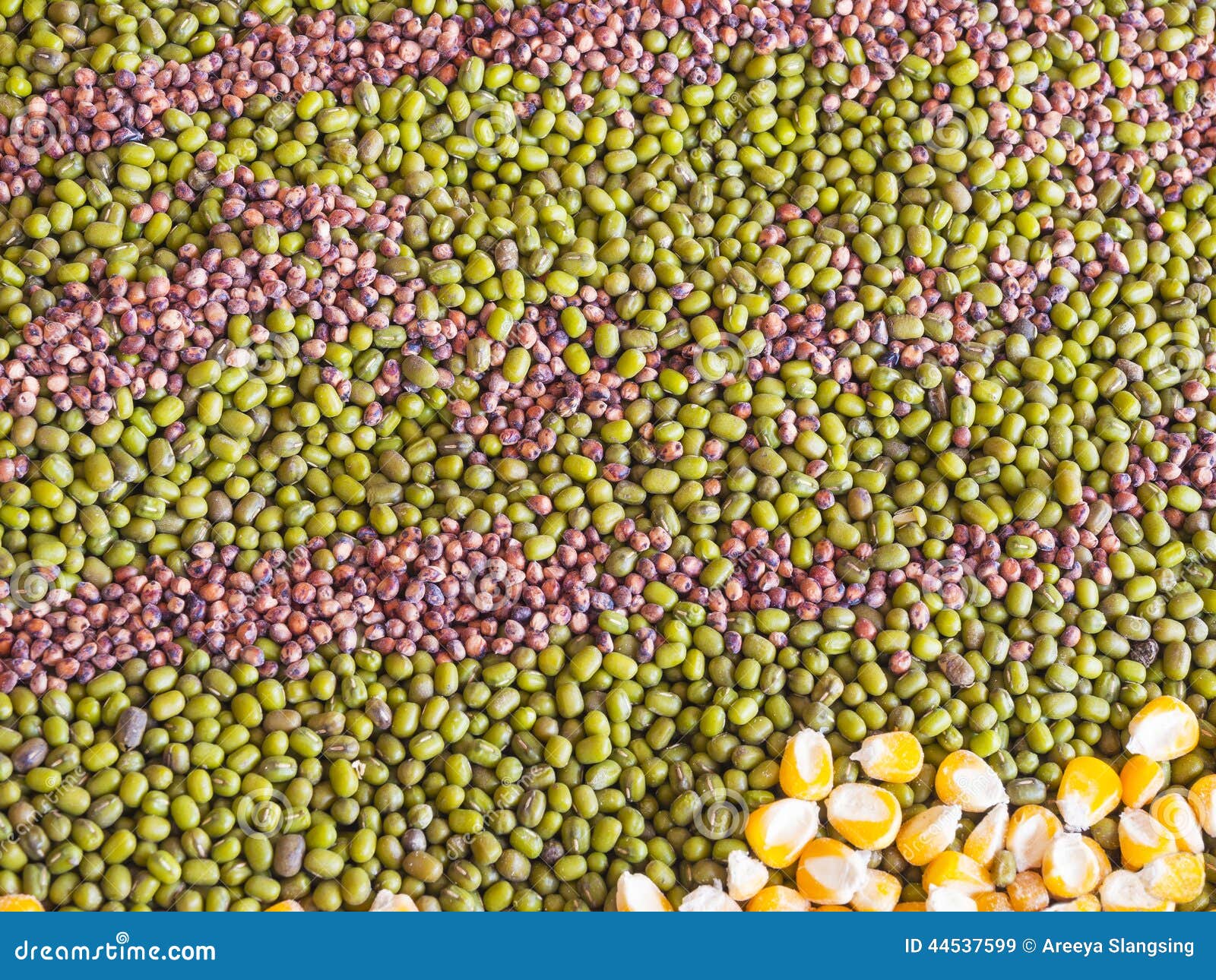 Multi Grain, Corn, Seed on Floor Stock Image - Image of agriculture ...
