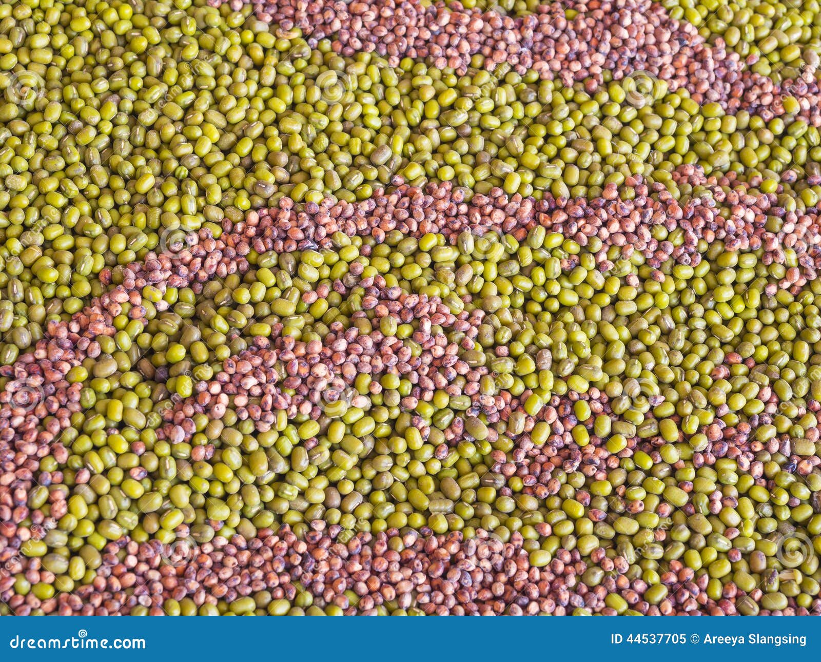 Multi Grain, Corn, Seed on Leaf Shape Stock Image - Image of healthy ...