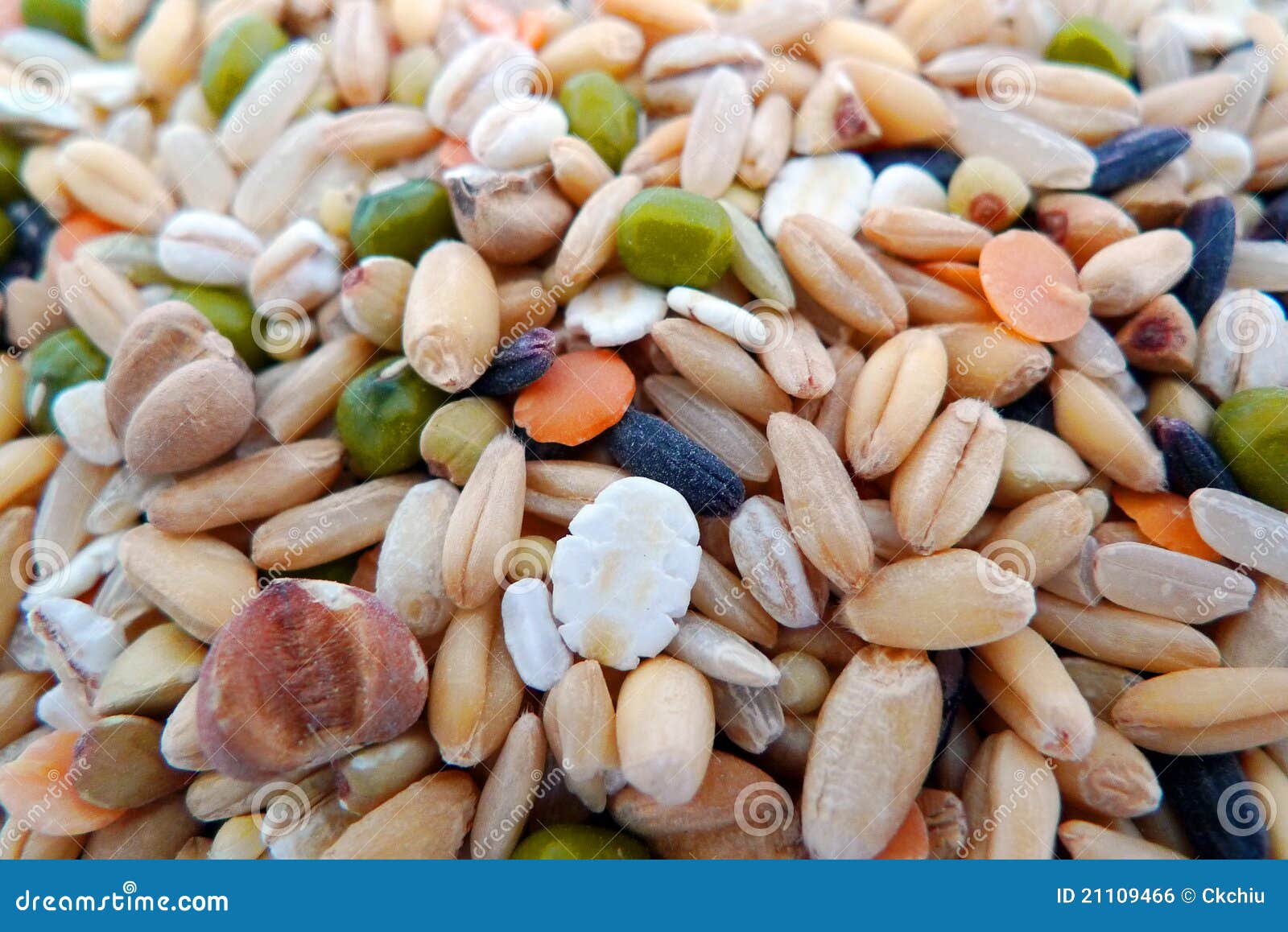 Multi grain meal stock photo. Image of fibre, green, colourful - 21109466