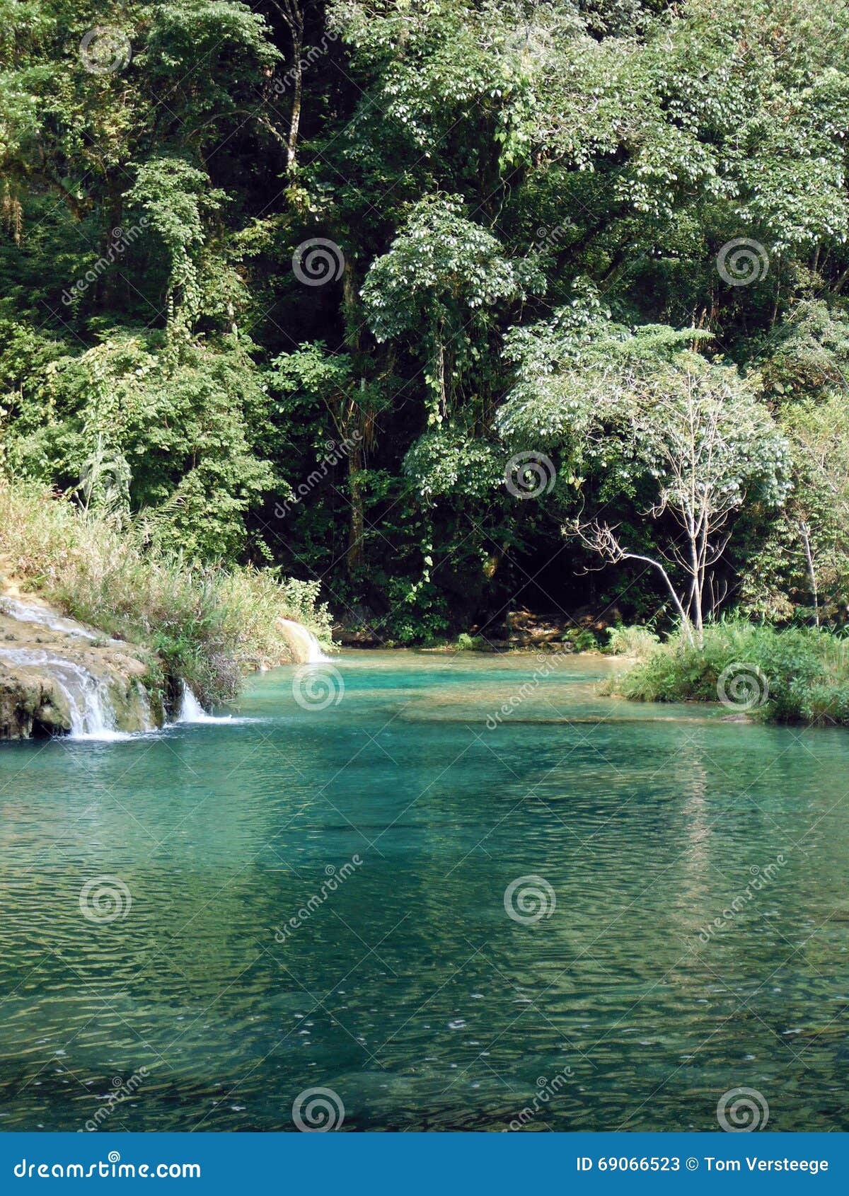 Multi-hued Blue Semuc Champey Pool Stock Image - Image of green ...