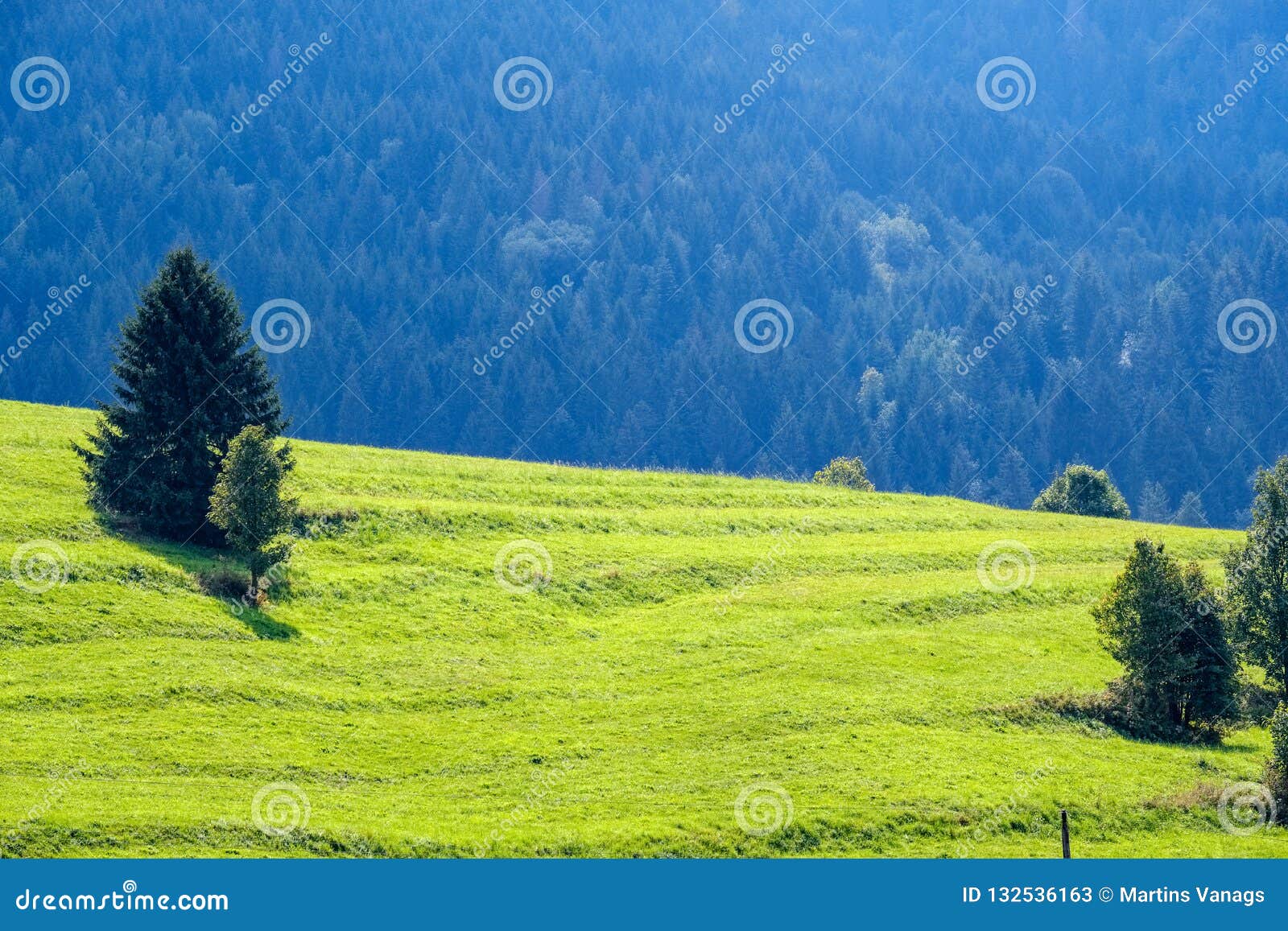 Multi Level Fields and Forests in Mountain Area Stock Image - Image of ...