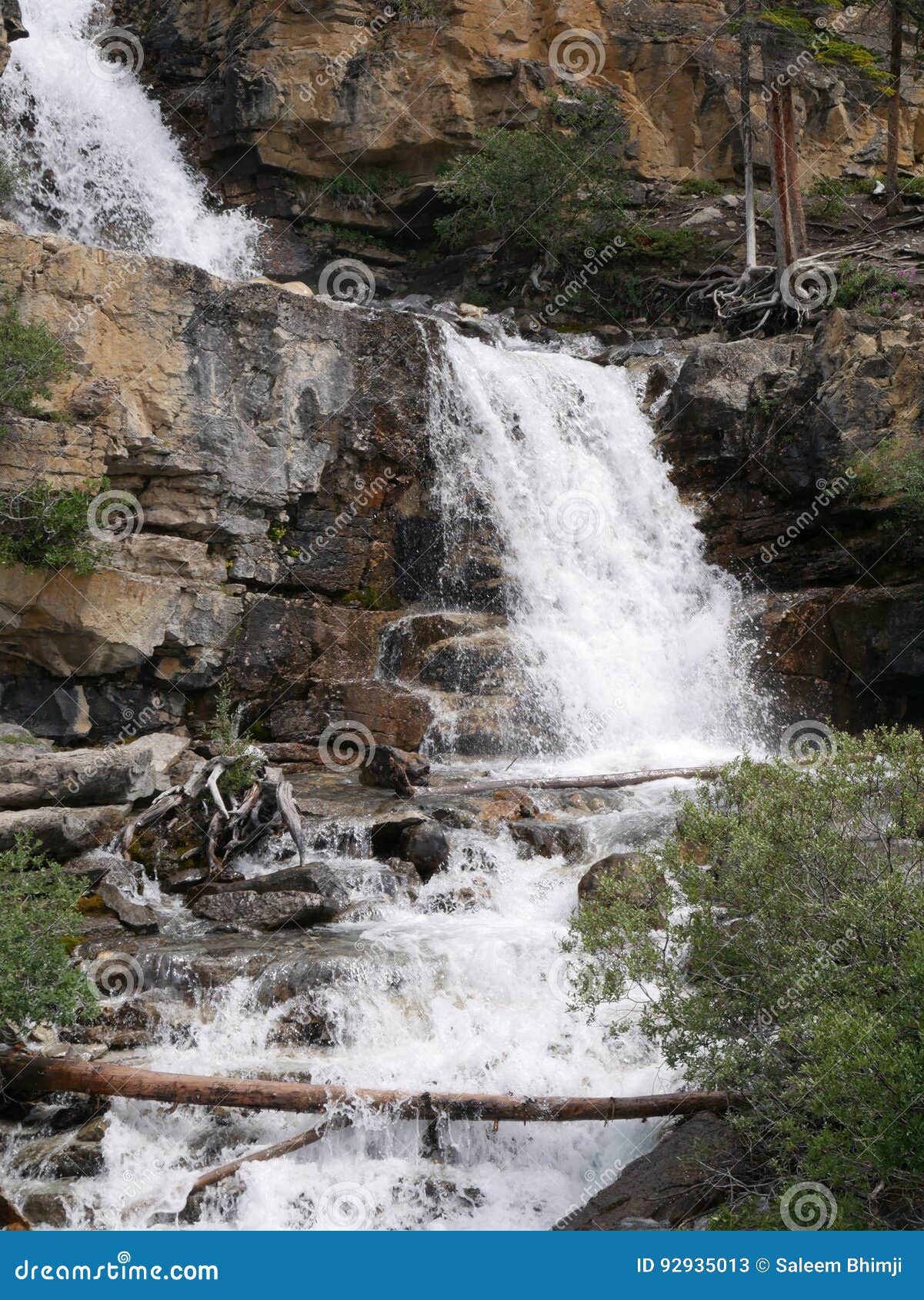 Multi-level Waterfall in Jasper National Park Stock Image - Image of ...