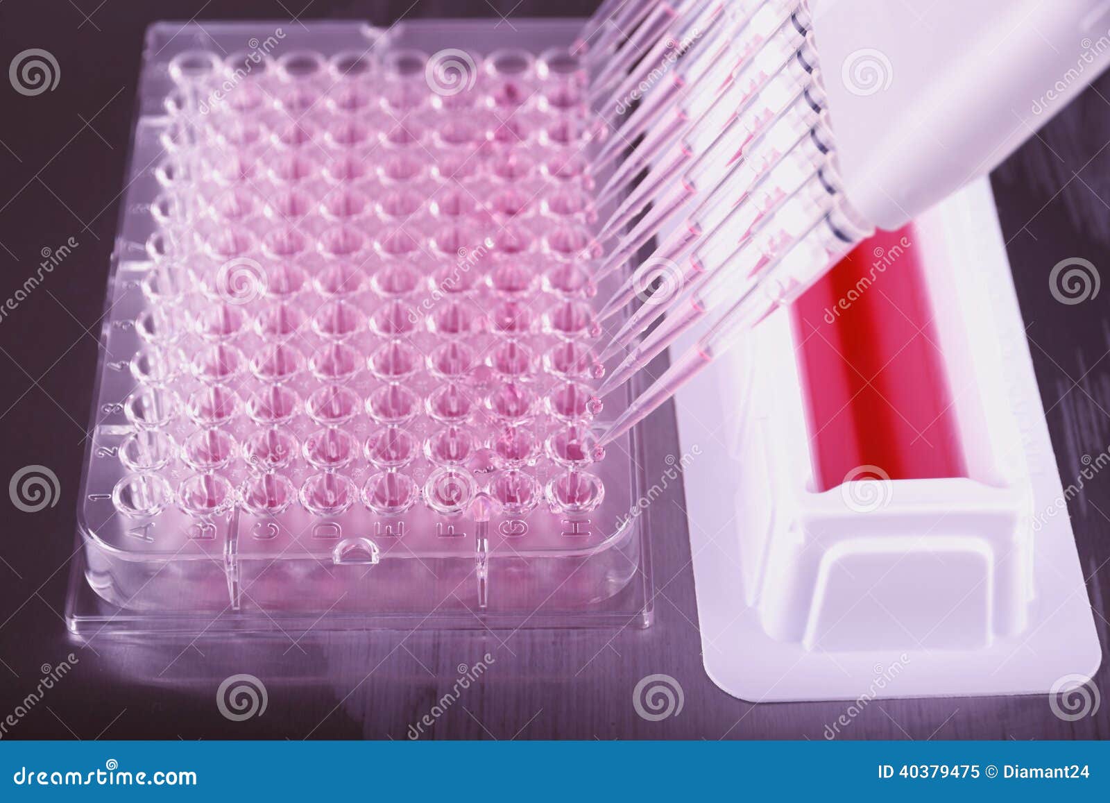 Multi-pipette Being Used To Fill the Wells Stock Image - Image of blood ...