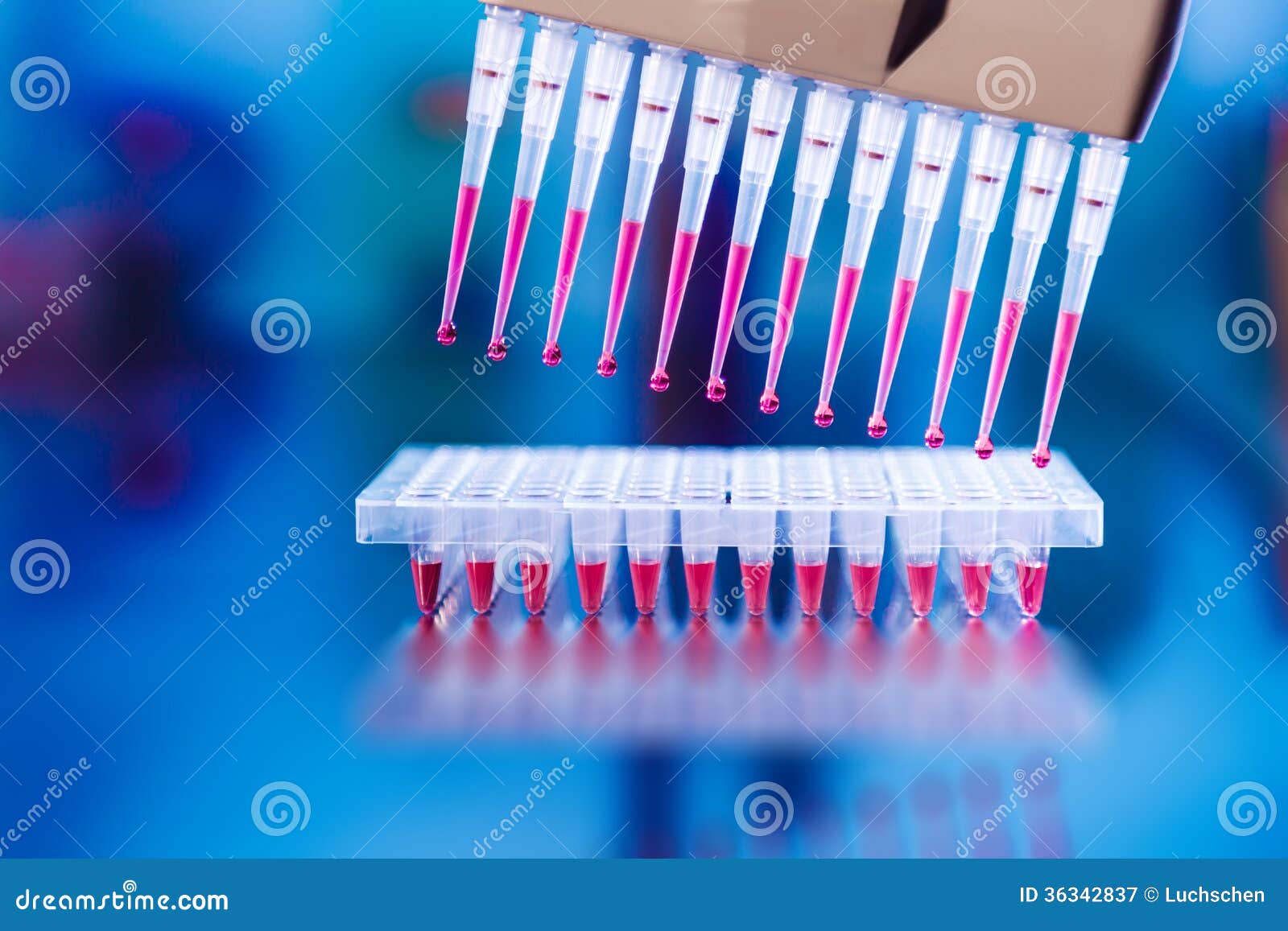 Multi pipette stock image. Image of pharmaceutical, plasma - 36342837
