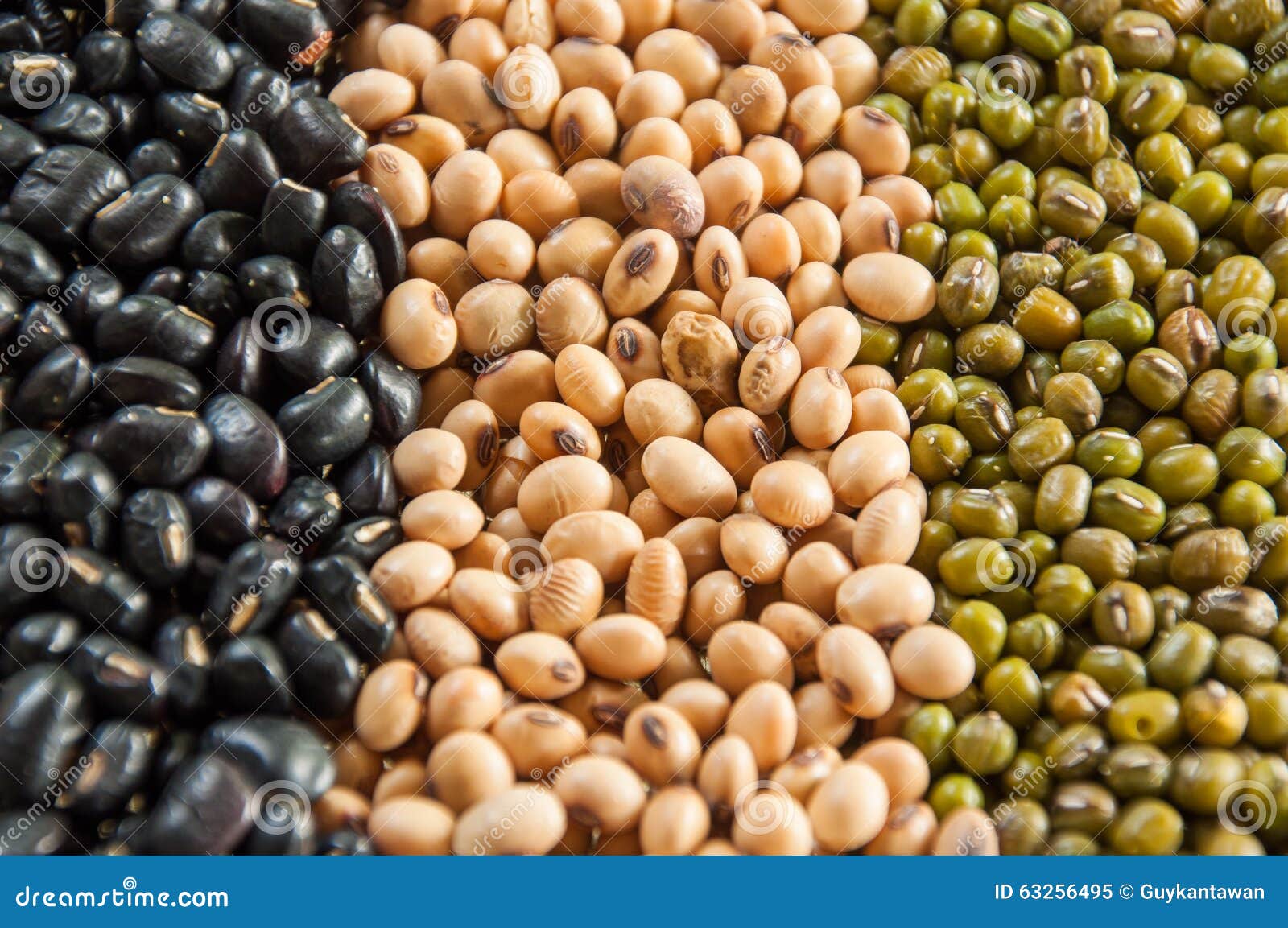 Multi Pulses Background Texture Stock Image - Image of natural, harvest ...