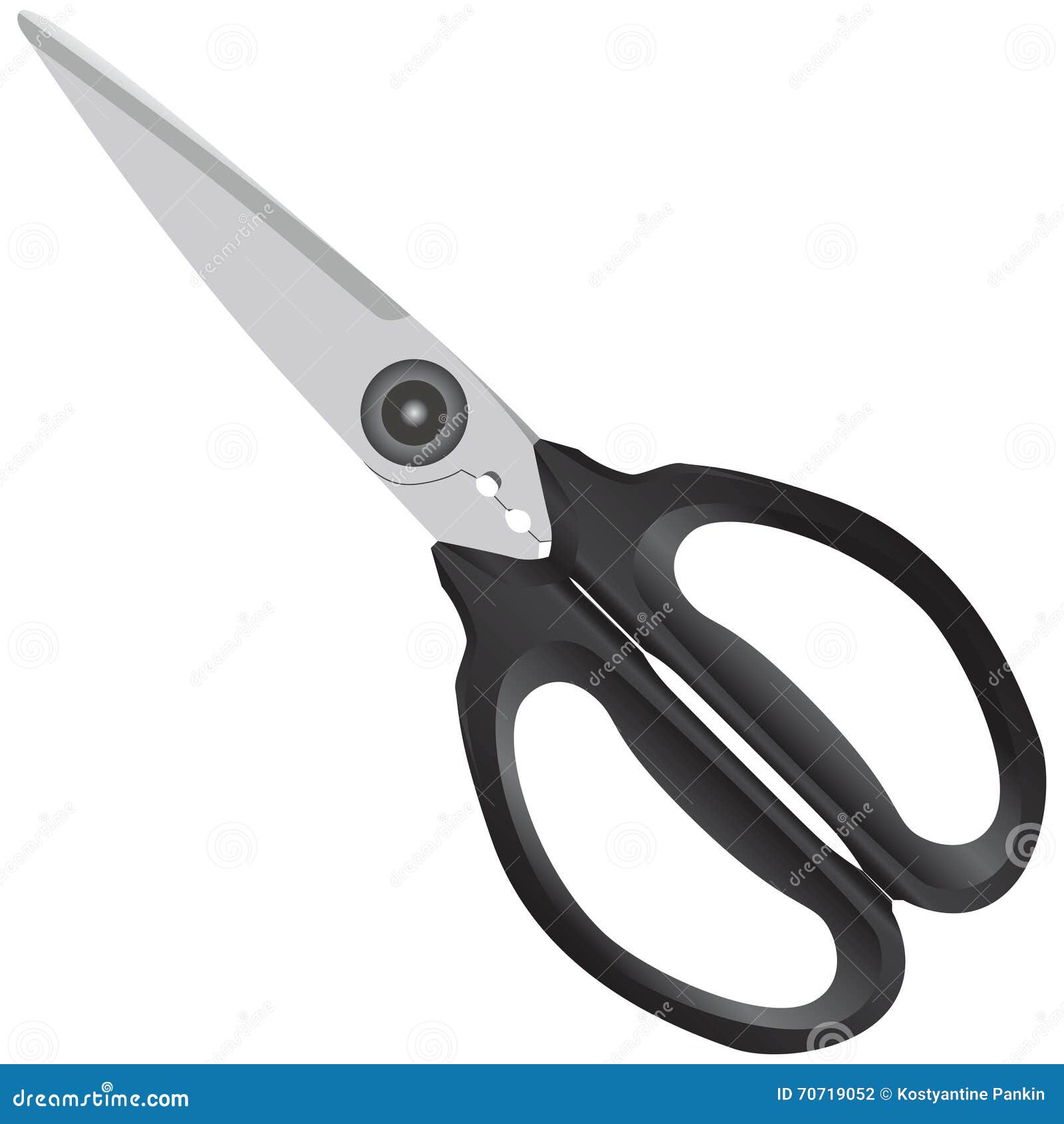 Multi-Purpose Kitchen Herbs Scissors Stock Vector - Illustration of ...