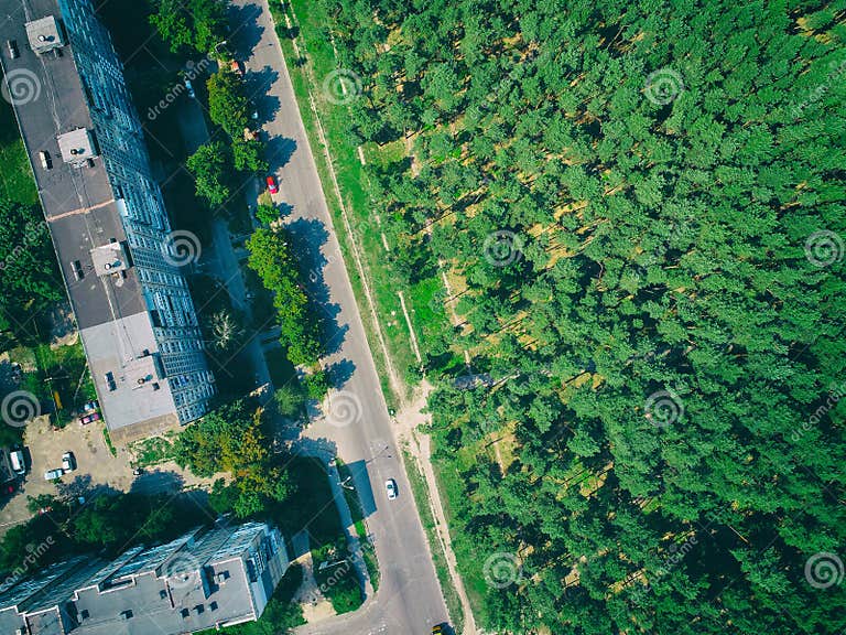 Urbanization. Buildings and Forest Stock Photo - Image of wood, mapping ...