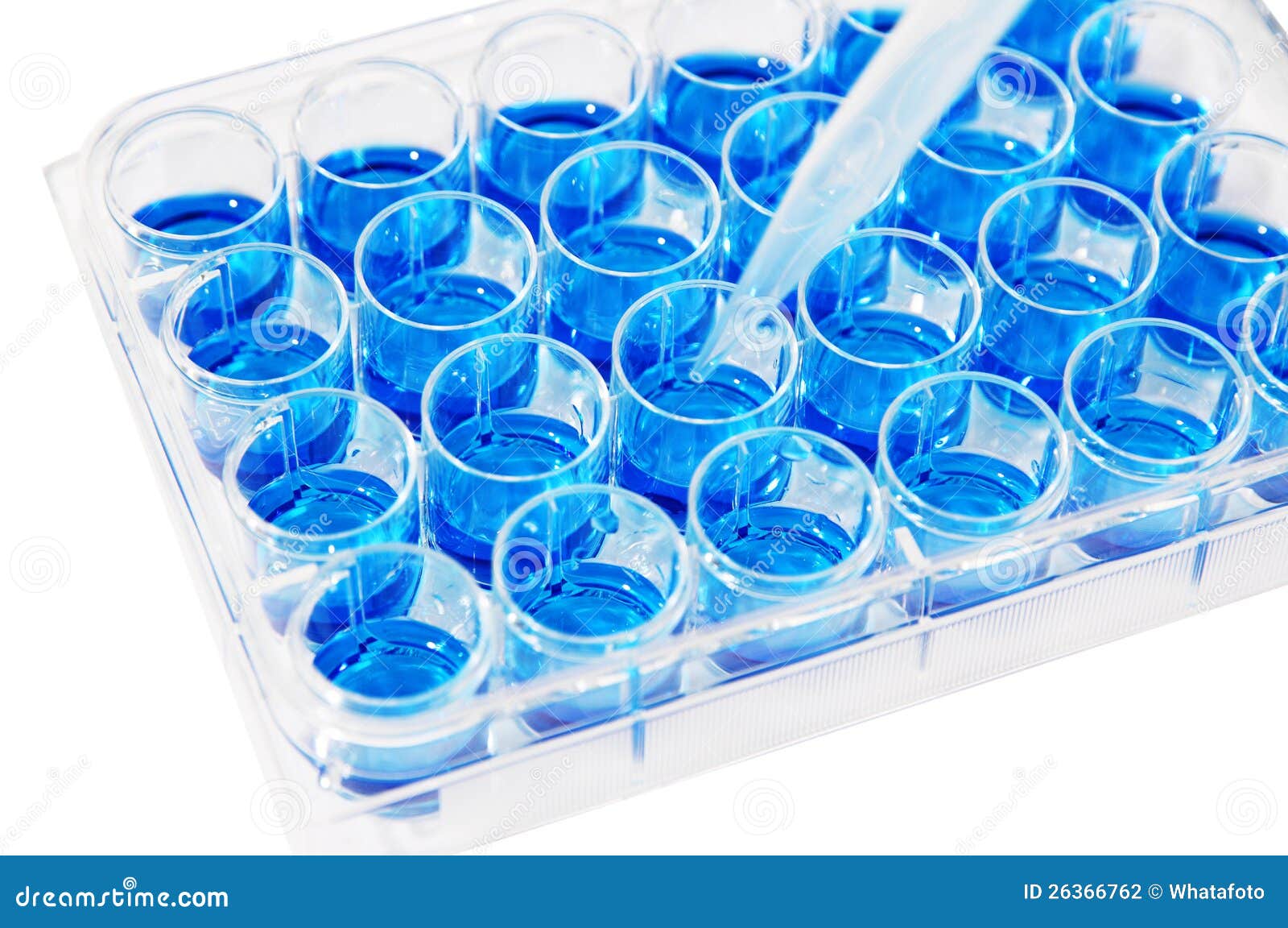 Multi Well plate dish stock photo. Image of plate, laboratory - 26366762