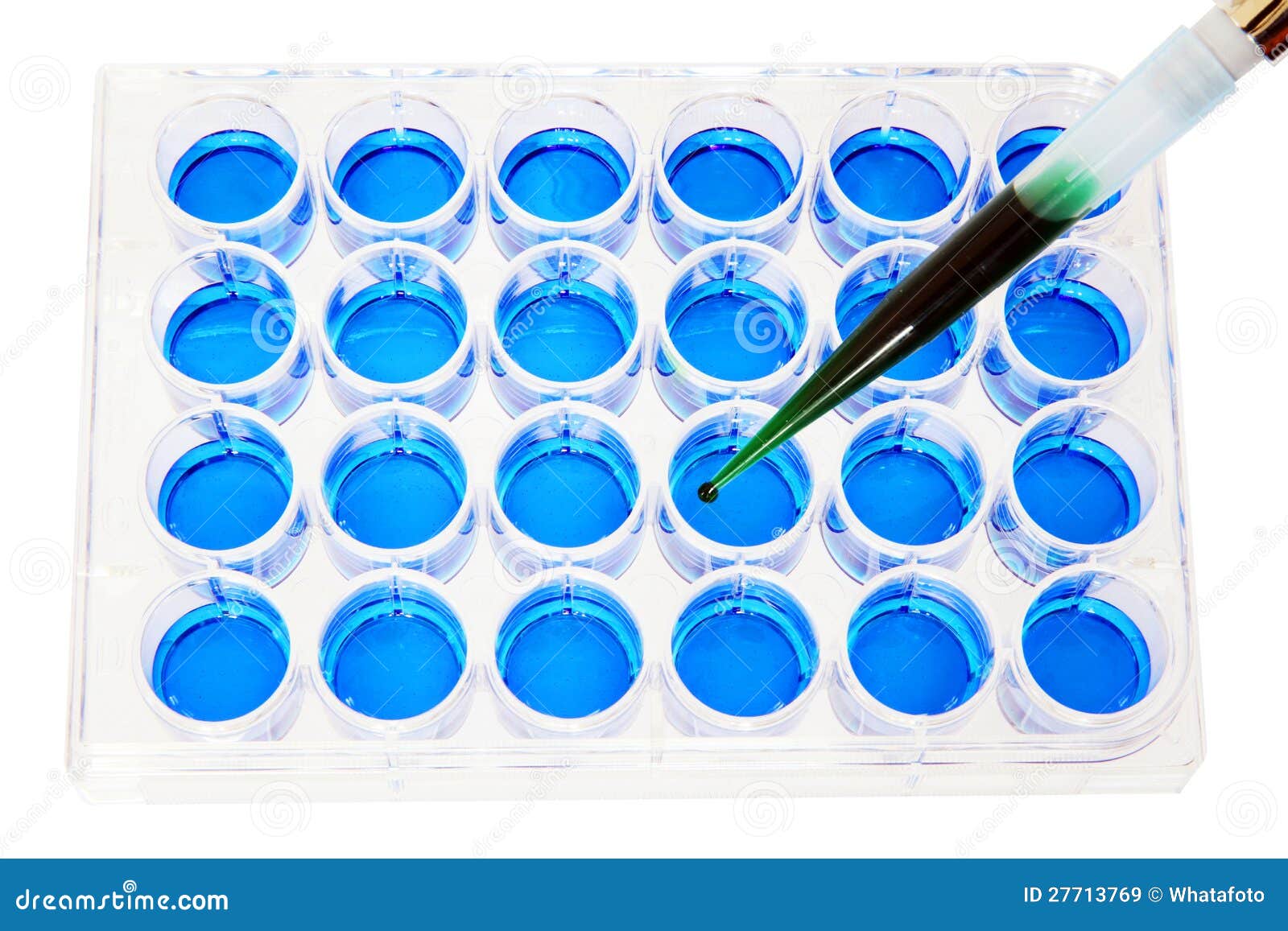 Multi well plate dish stock image. Image of laboratory - 27713769