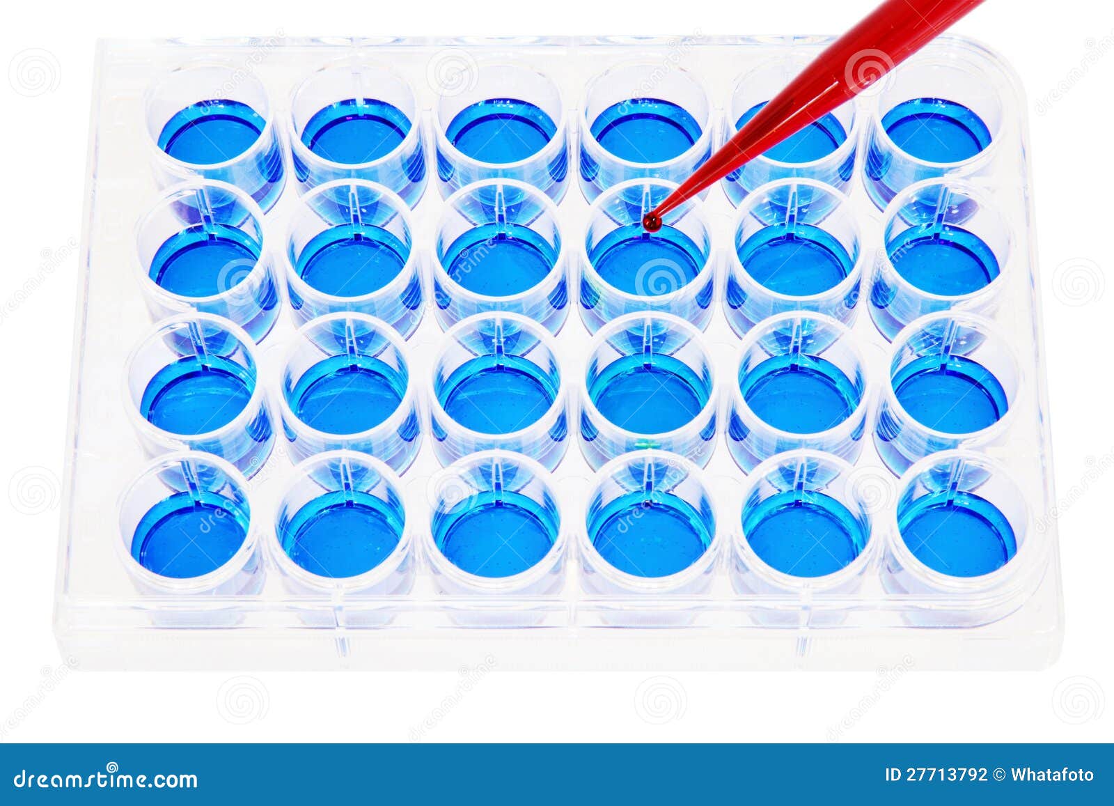Multi well plate dish stock photo. Image of blue, disease - 27713792