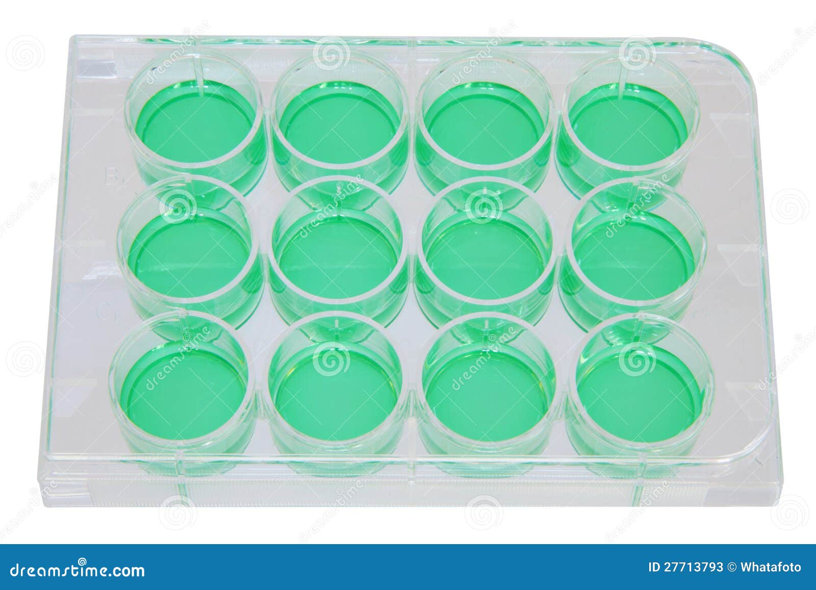 Multi well plate dish stock image. Image of biotechnology - 27713793