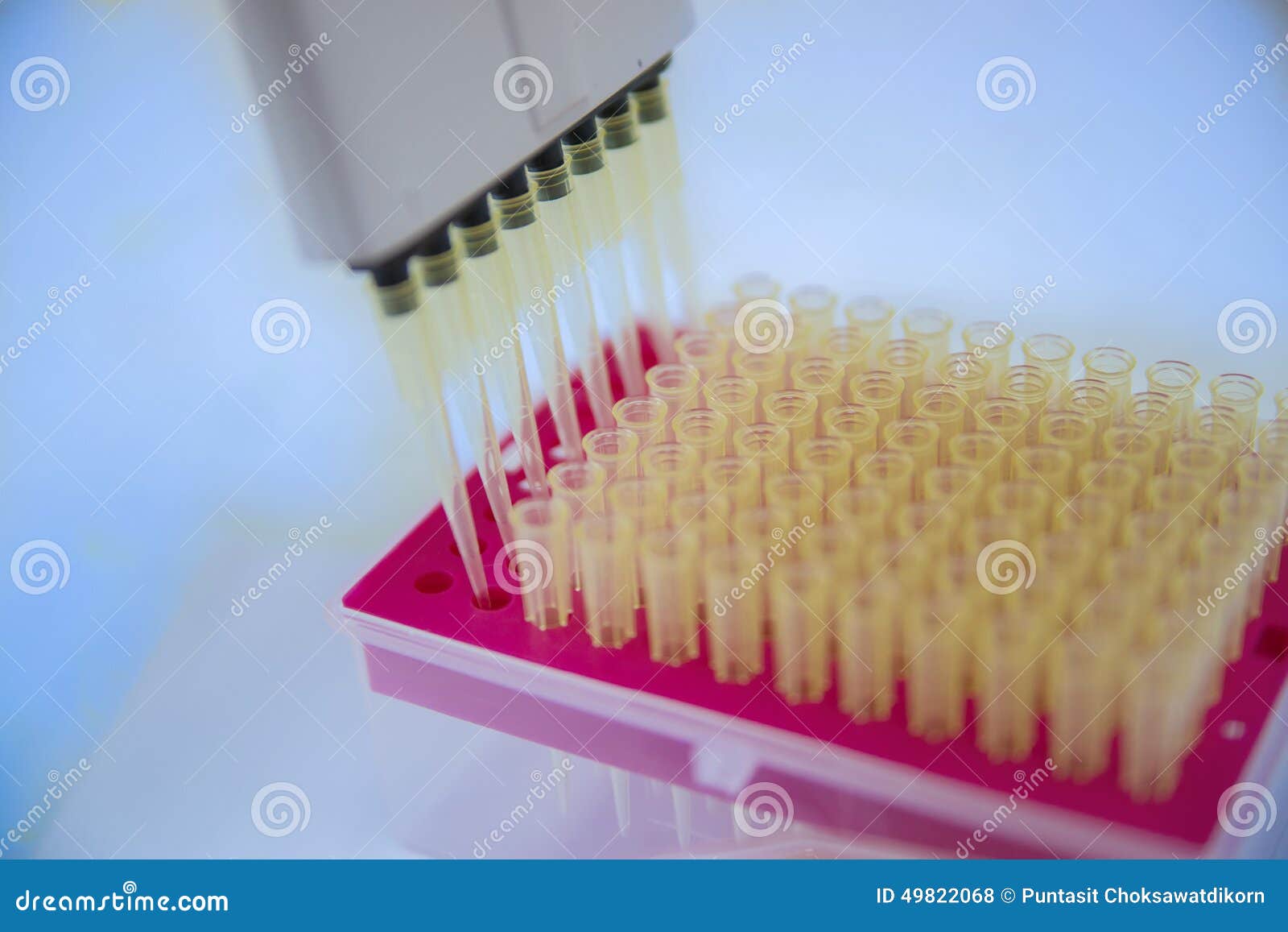 Multichannel Pipette Royalty-Free Stock Photo | CartoonDealer.com #36493767