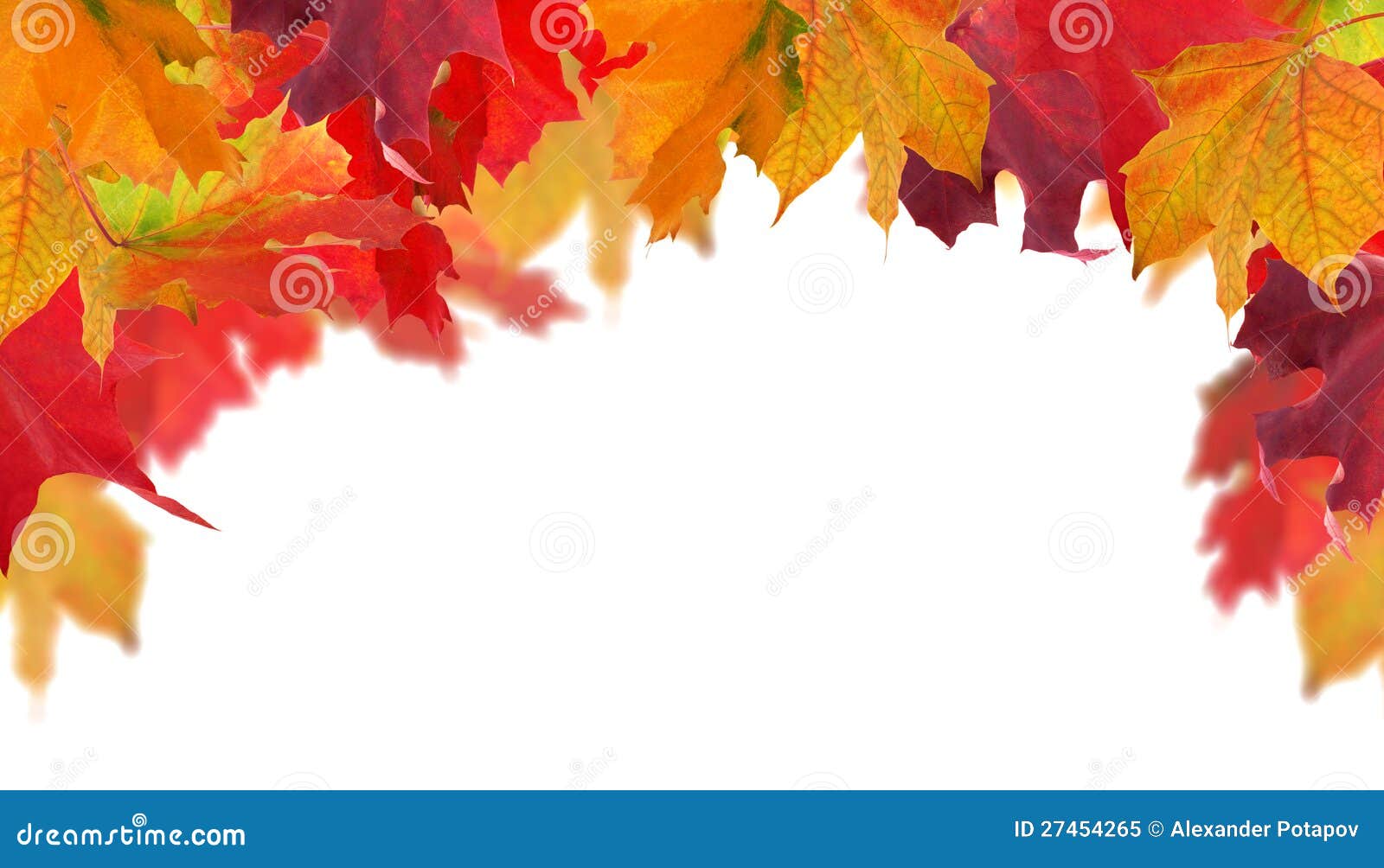 Multicolor Autumn Maple Leaves Half Frame Stock Image - Image of shiny ...