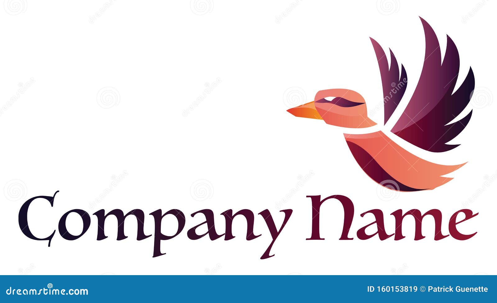 Multicolor Bird and Blank Space for Text Logo Vector Illustration on a ...