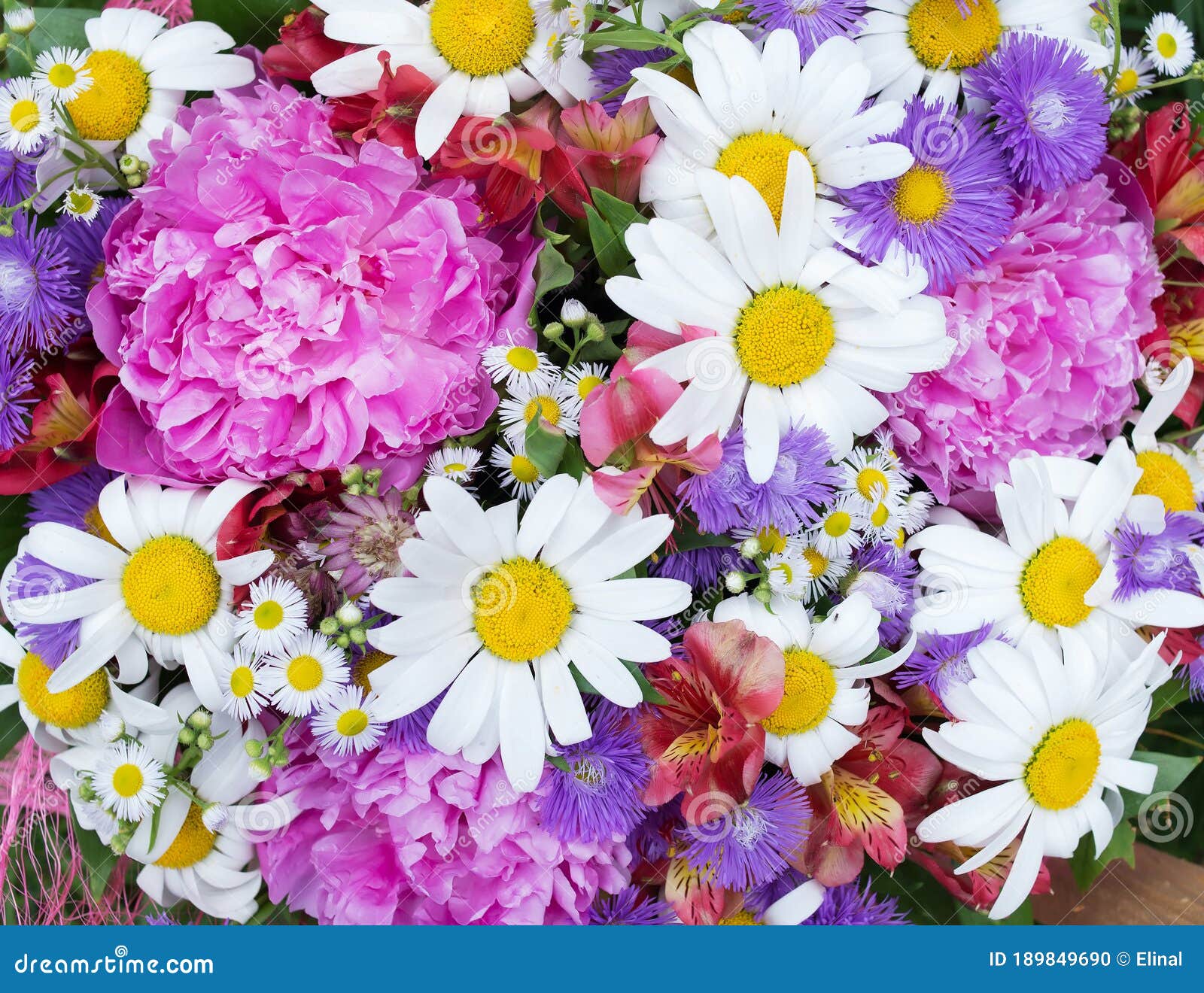 Multicolor Bouquet with Asters, Peonies, Daisies Flowers Background ...