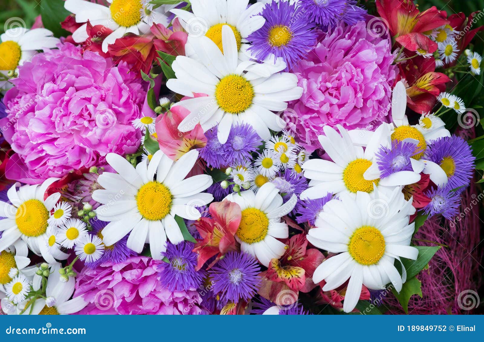 Multicolor Bouquet with Asters, Peonies, Daisies Flowers Background ...