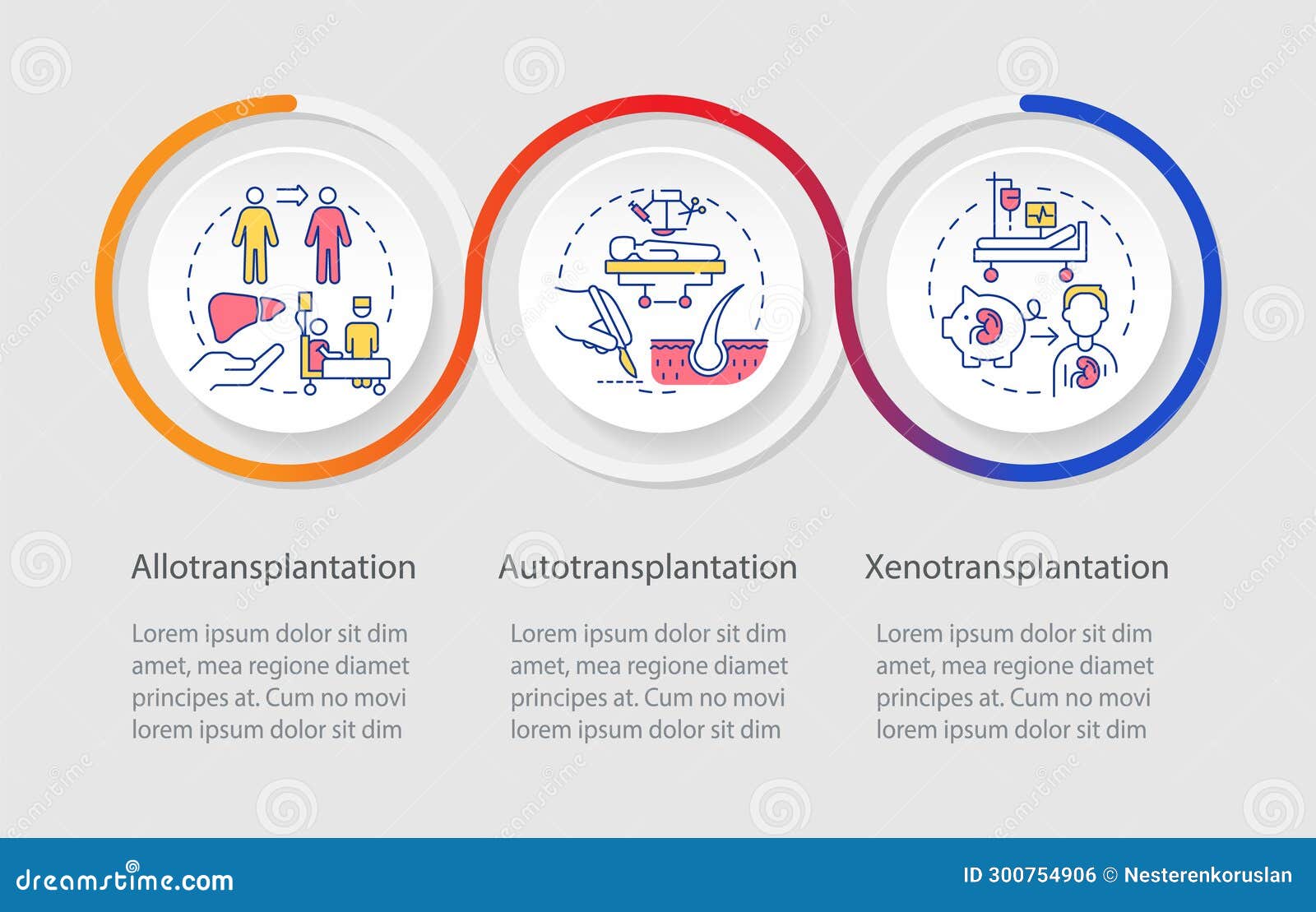 The Allogeneic Transplant Process. Vector Illustration | CartoonDealer ...