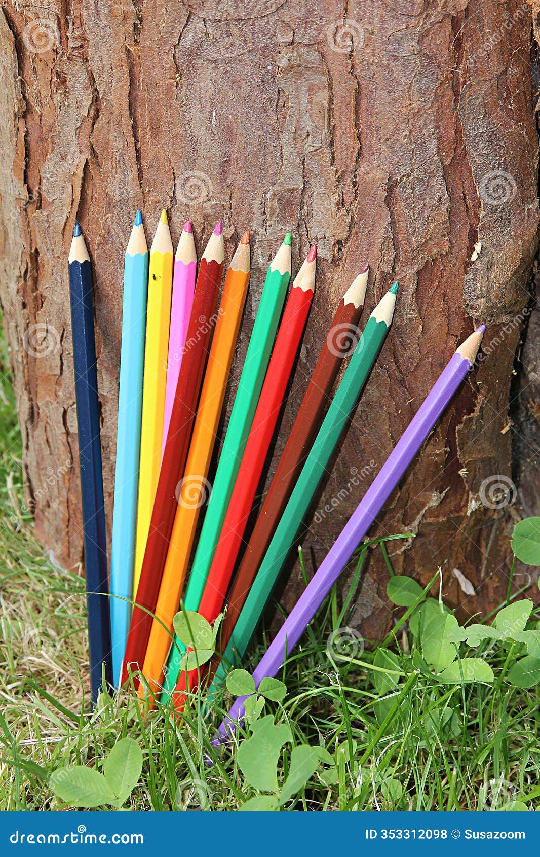 Multicolor Crayons Lean on a Tree Bark, Green Grass and Clover Stock ...