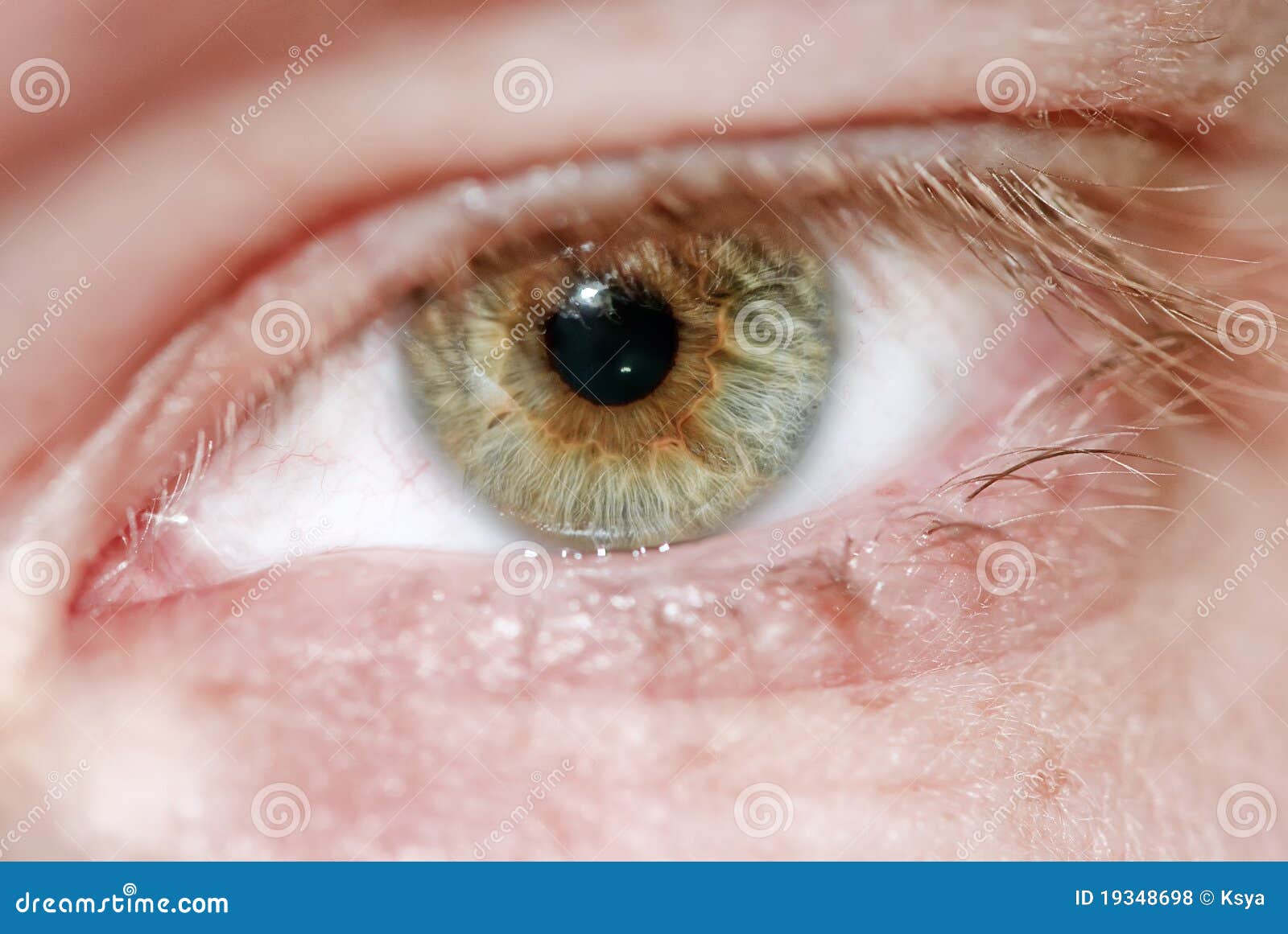 Multicolor eye stock photo. Image of body, detail, element - 19348698