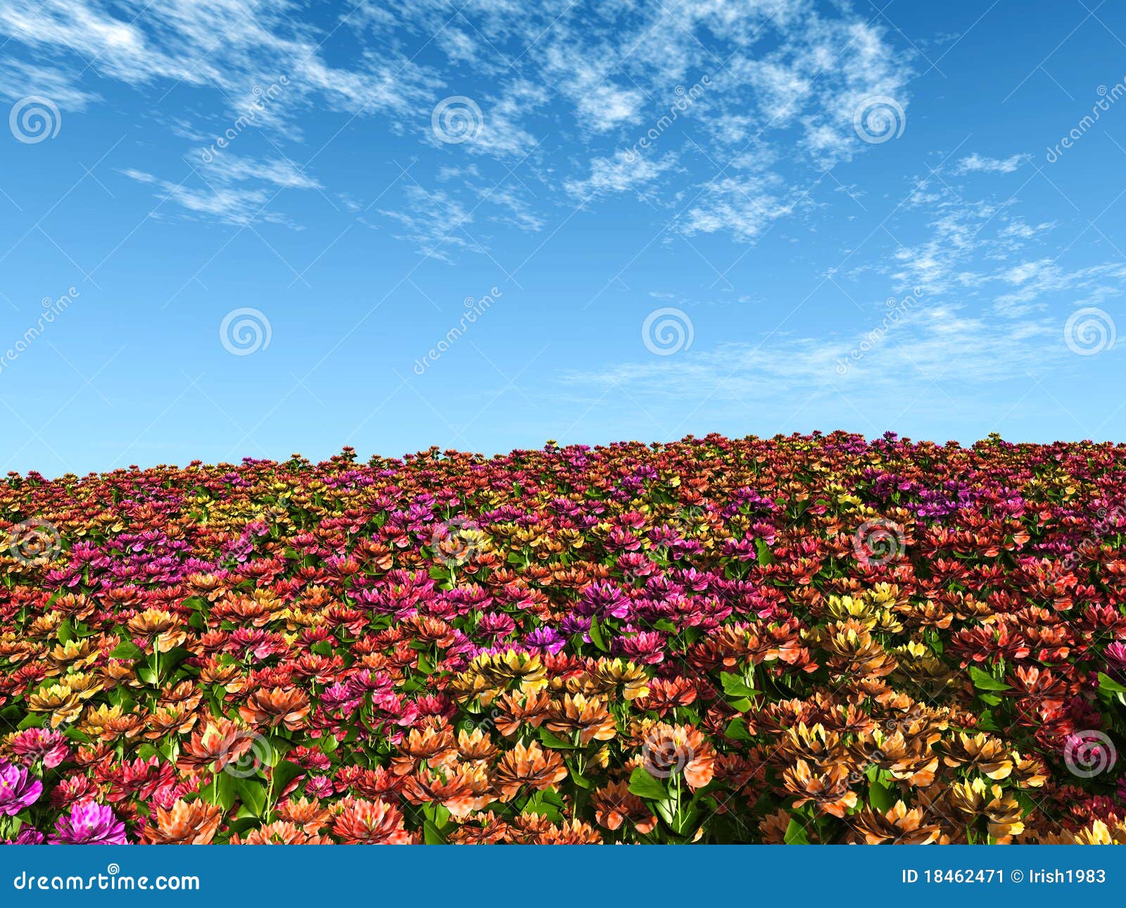 Multicolor flower field stock illustration. Illustration of plants ...