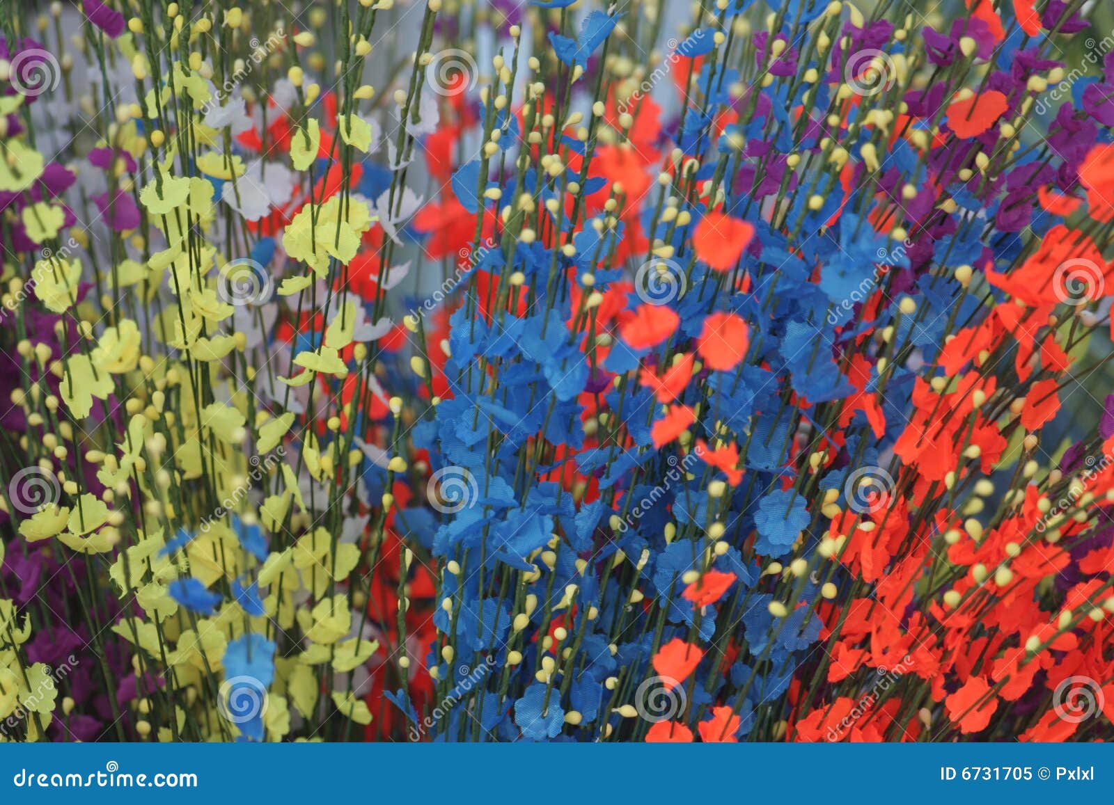 Multicolor flowers stock image. Image of love, arrange - 6731705