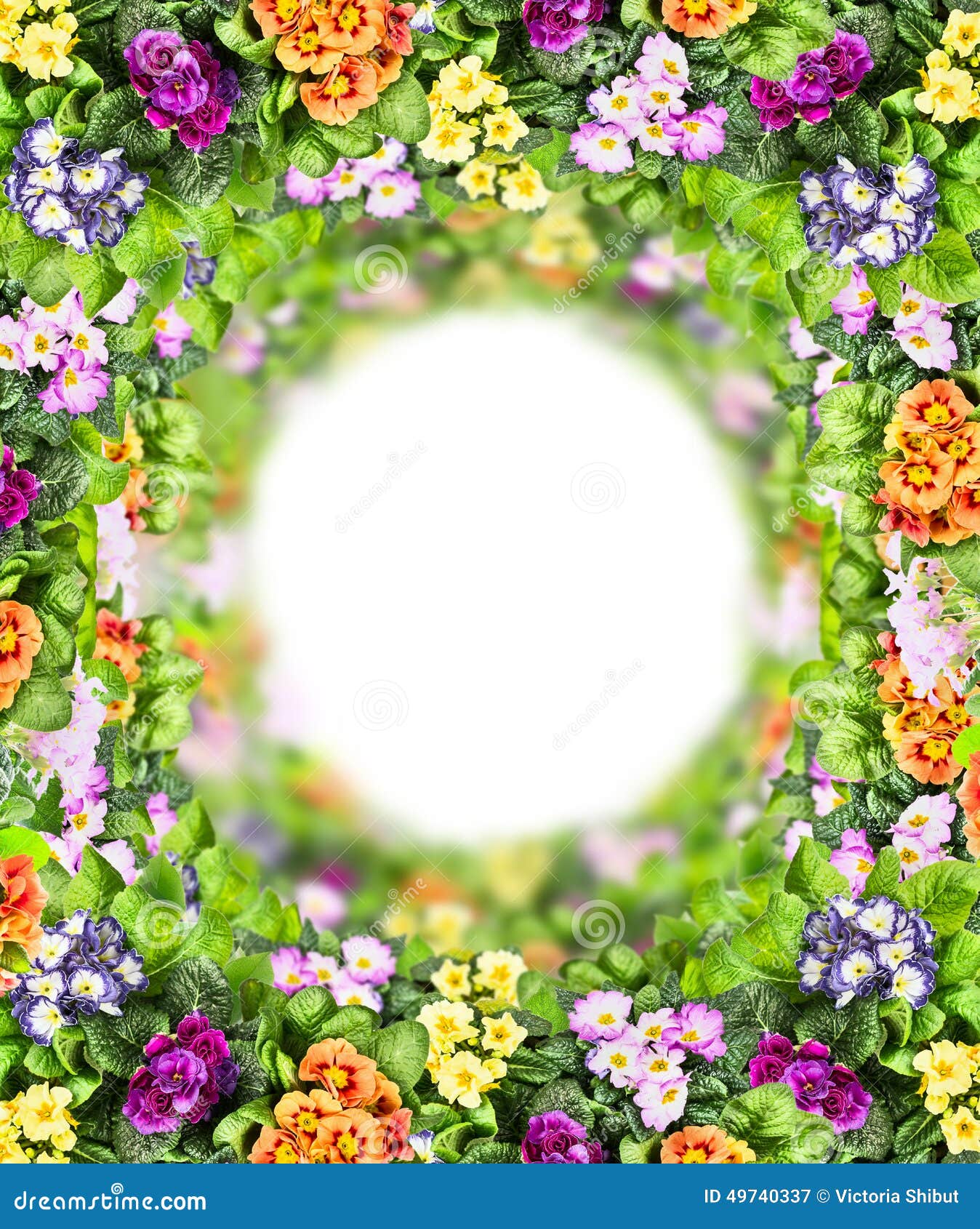 Multicolor Flowers Round with Green Leaves Border, Isolated on White ...