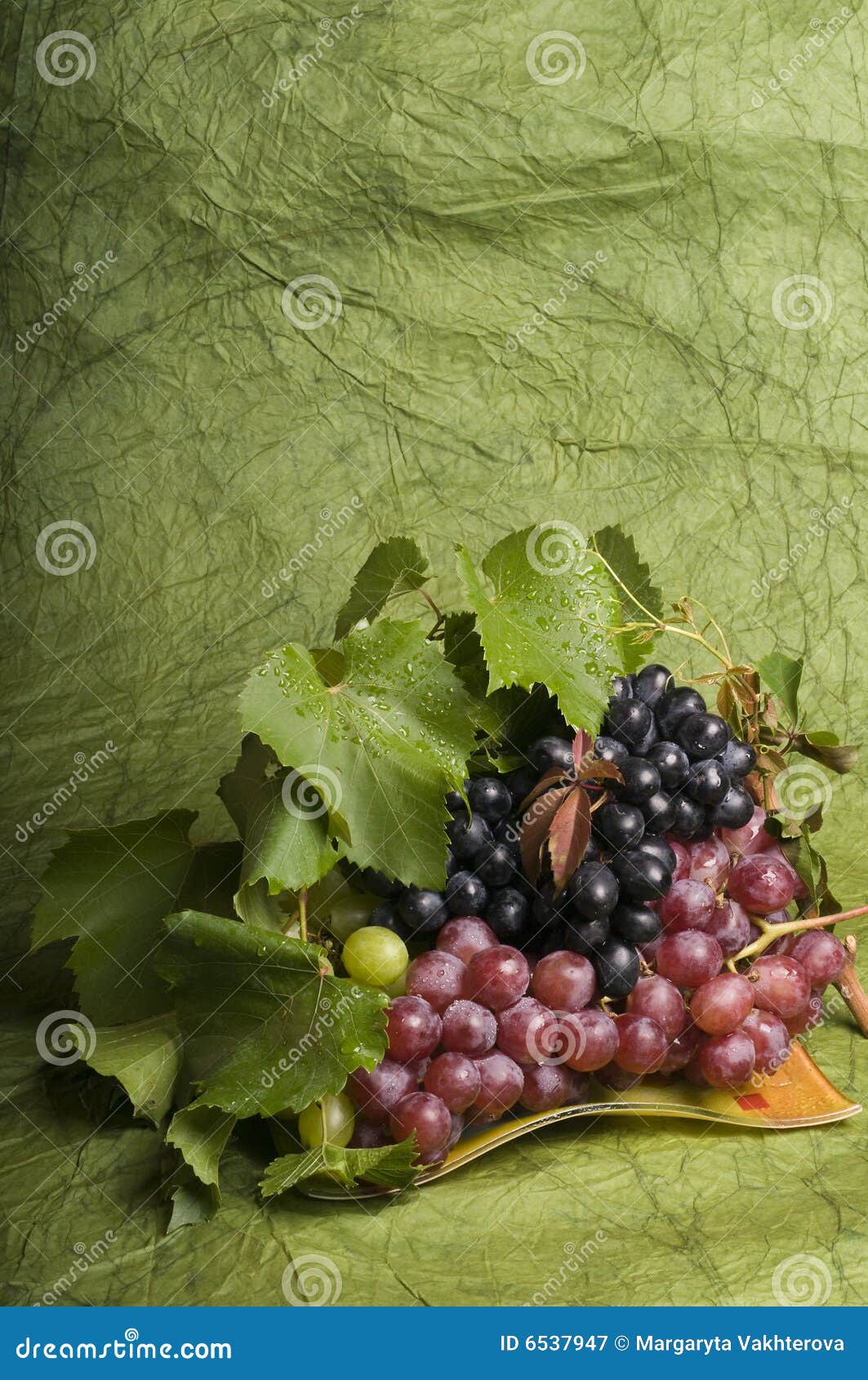 Multicolor grape food stock image. Image of studio, organic - 6537947
