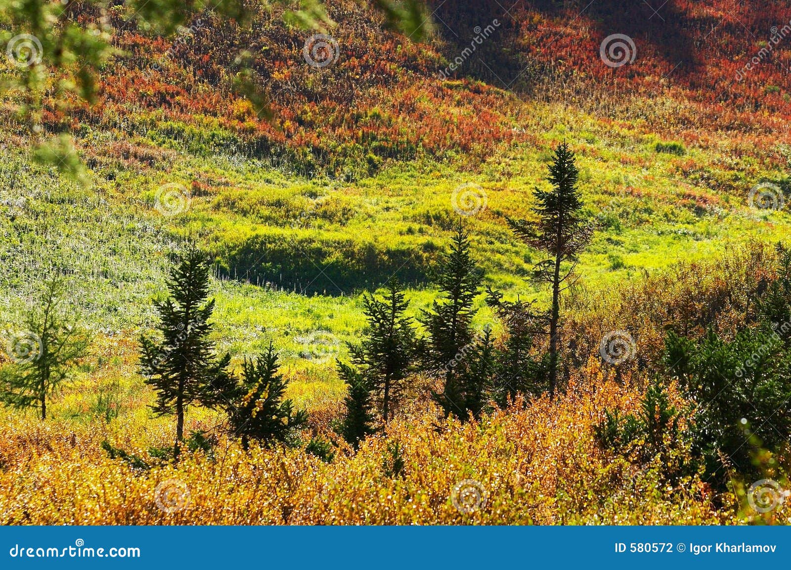 Multicolor landscape. stock photo. Image of mountainside - 580572