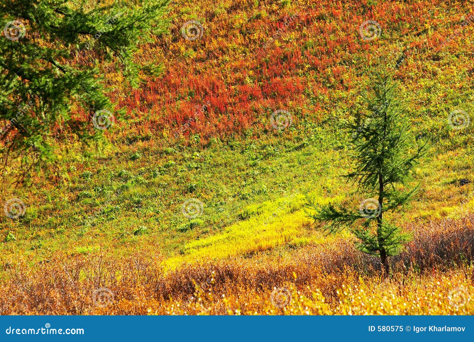Multicolor landscape. stock image. Image of fall, tourism - 580575