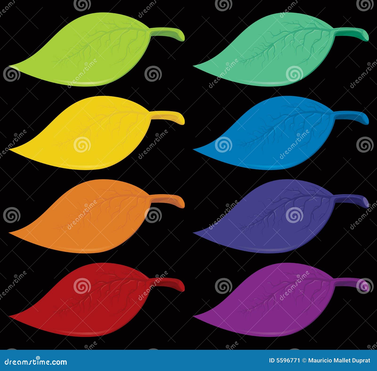 Multicolor leaves. stock vector. Illustration of orange - 5596771