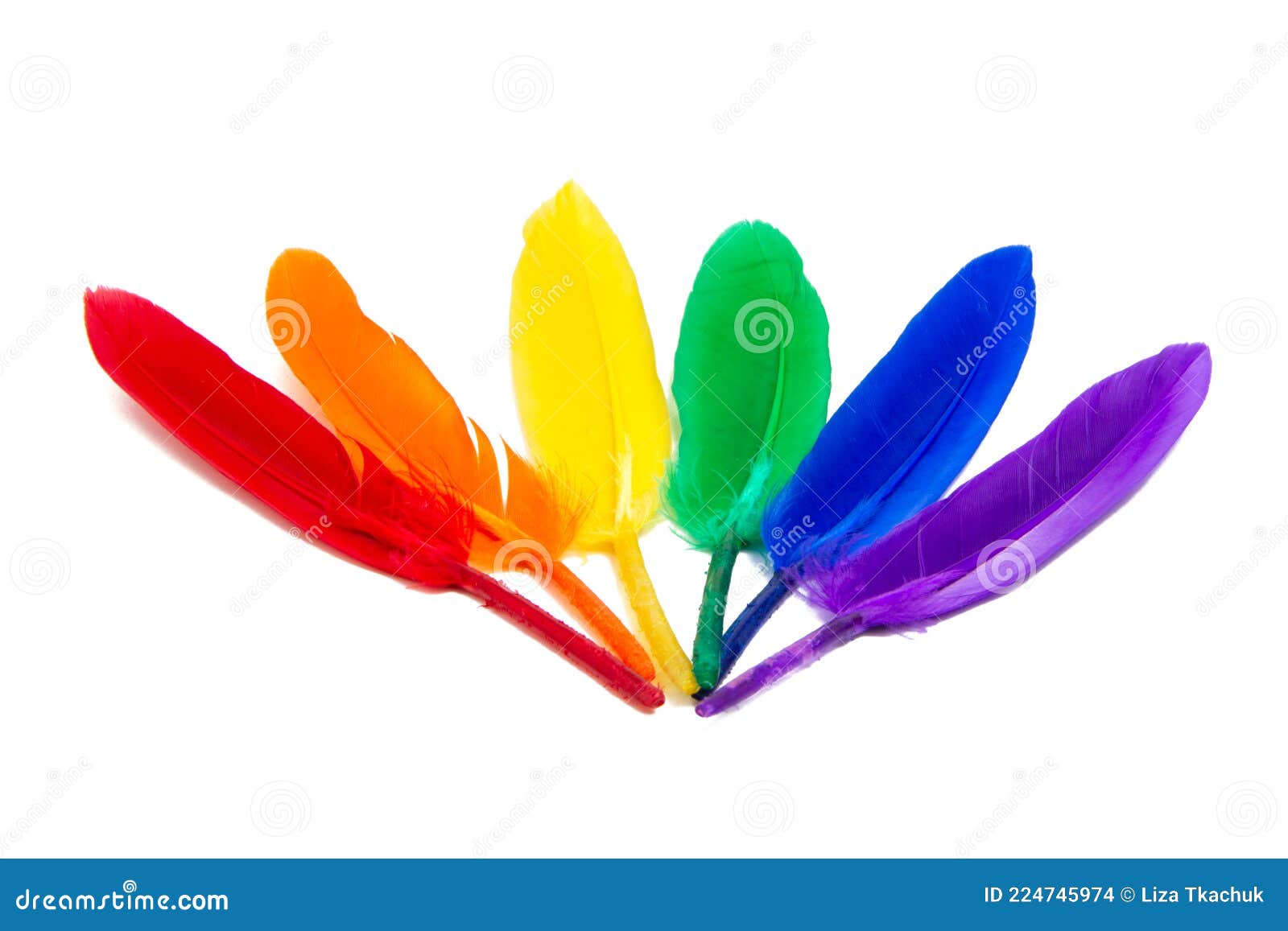 Multicolor Rainbow Feathers Isolated on the White Background Stock ...