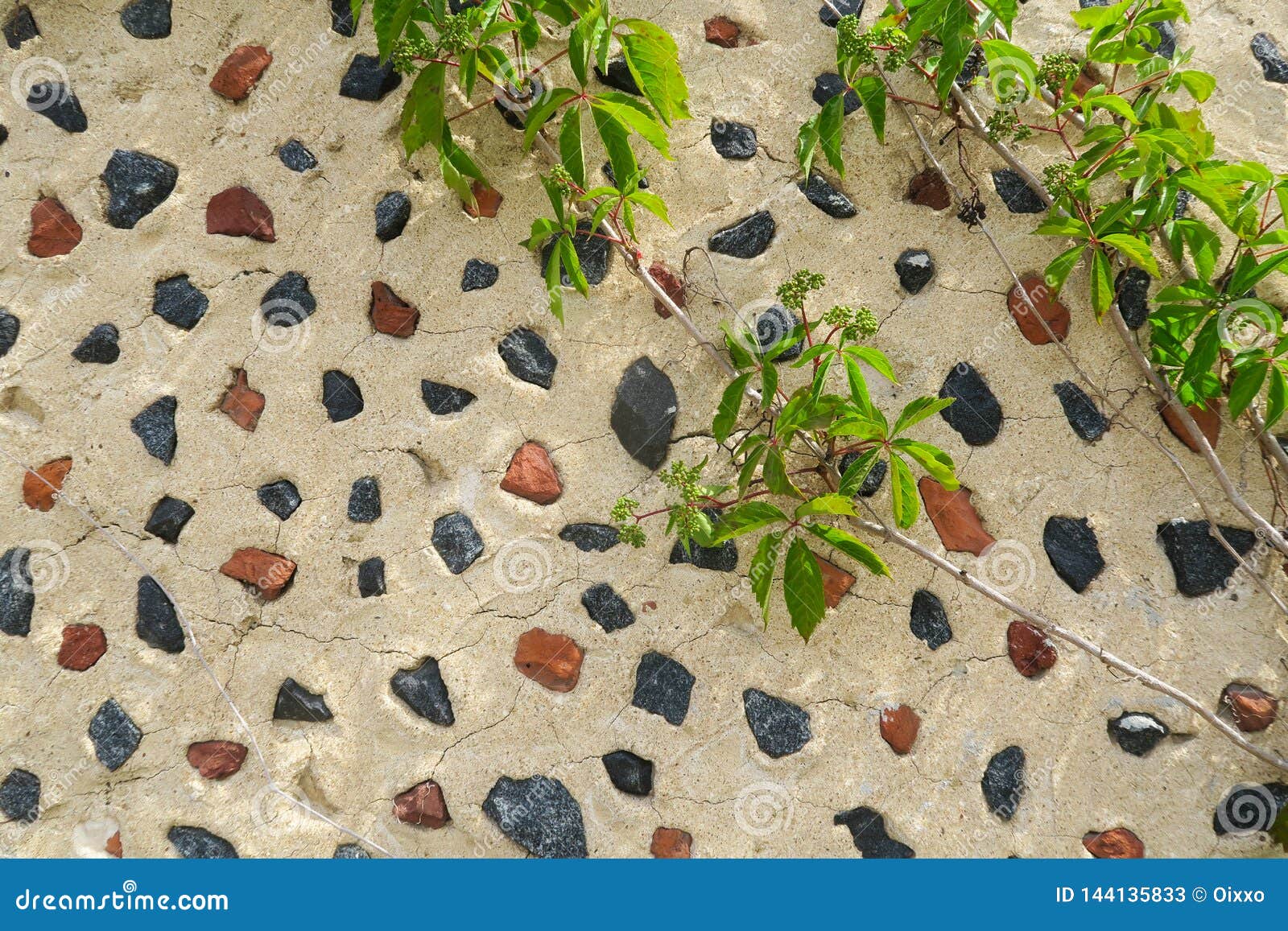 Multicolor of Rocks Wall Beautiful Color Texture Stock Image - Image of ...