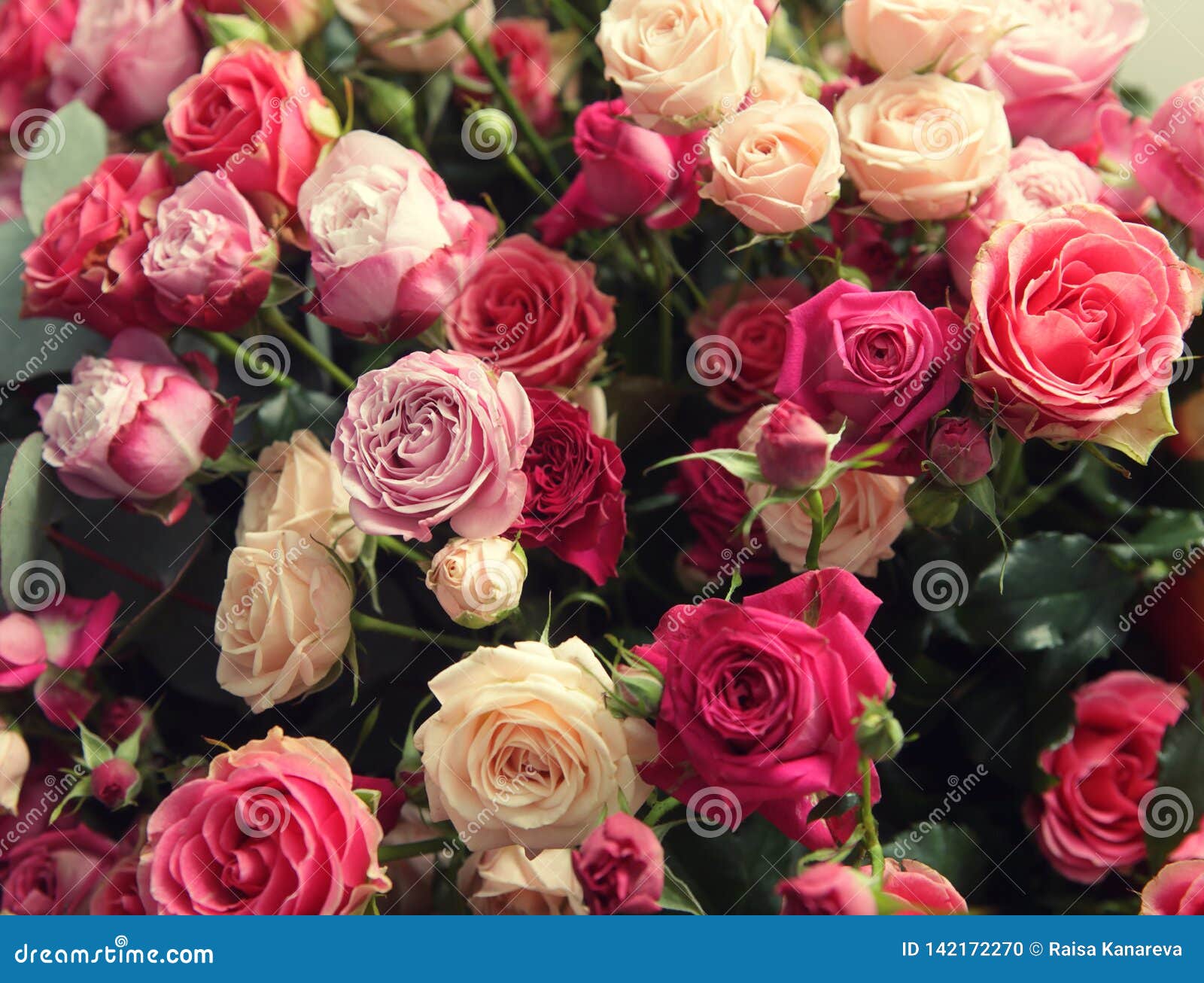 Multicolor Roses Bouquet Close Up Picture Stock Photo - Image of love ...