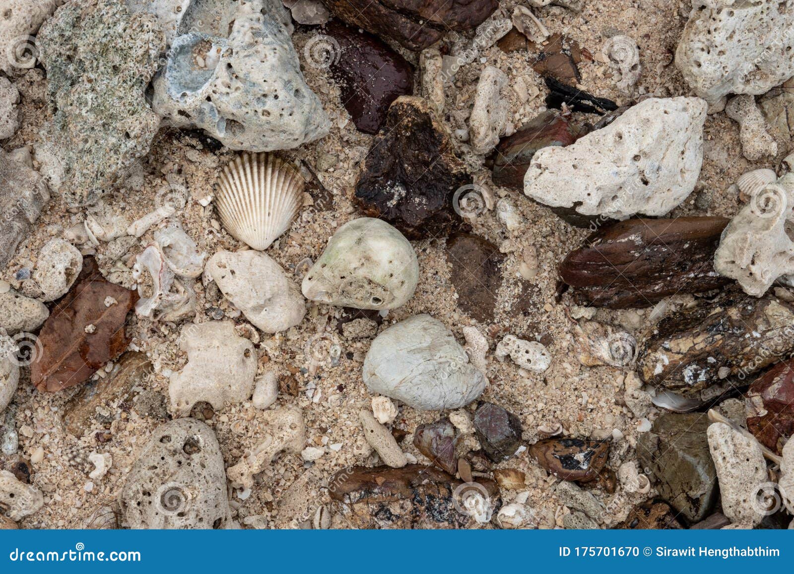 Multicolor Stones of Different Shapes and Size. Small Rocks on Beach ...