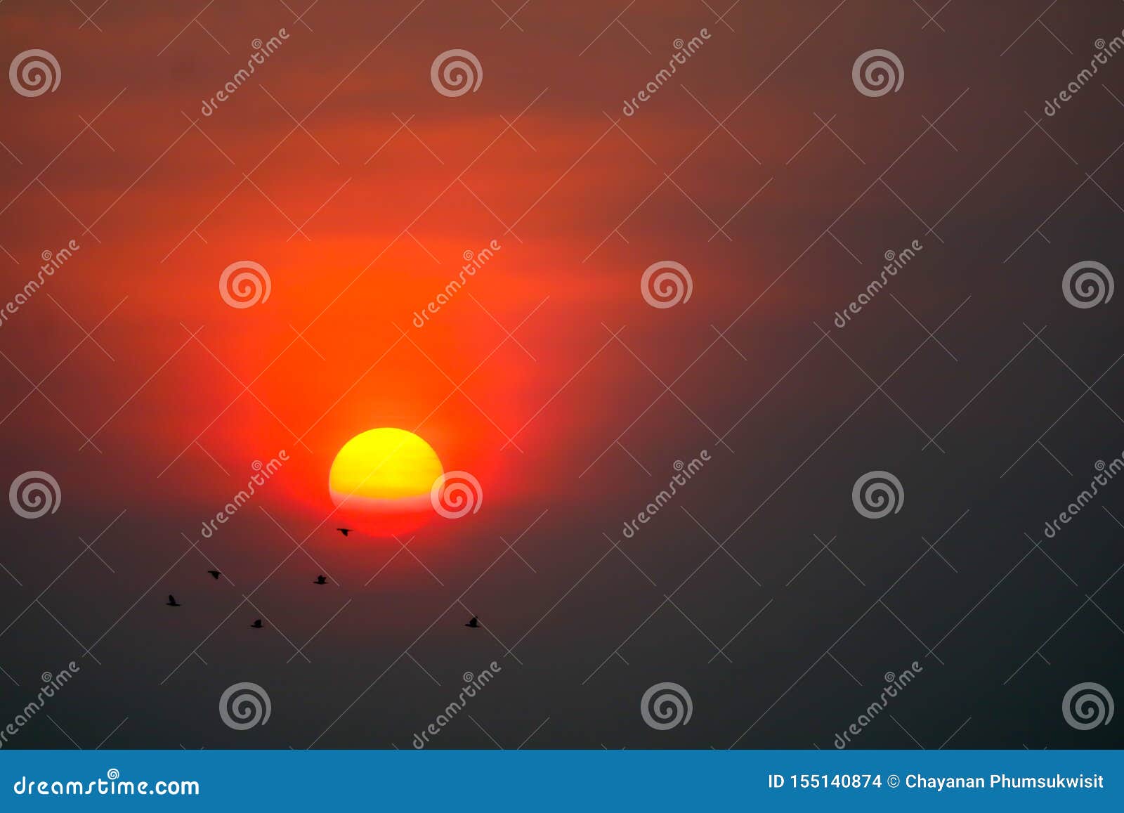 Multicolor of Sunset Sky and Sun Ray Around Silhouette Flying Birds ...