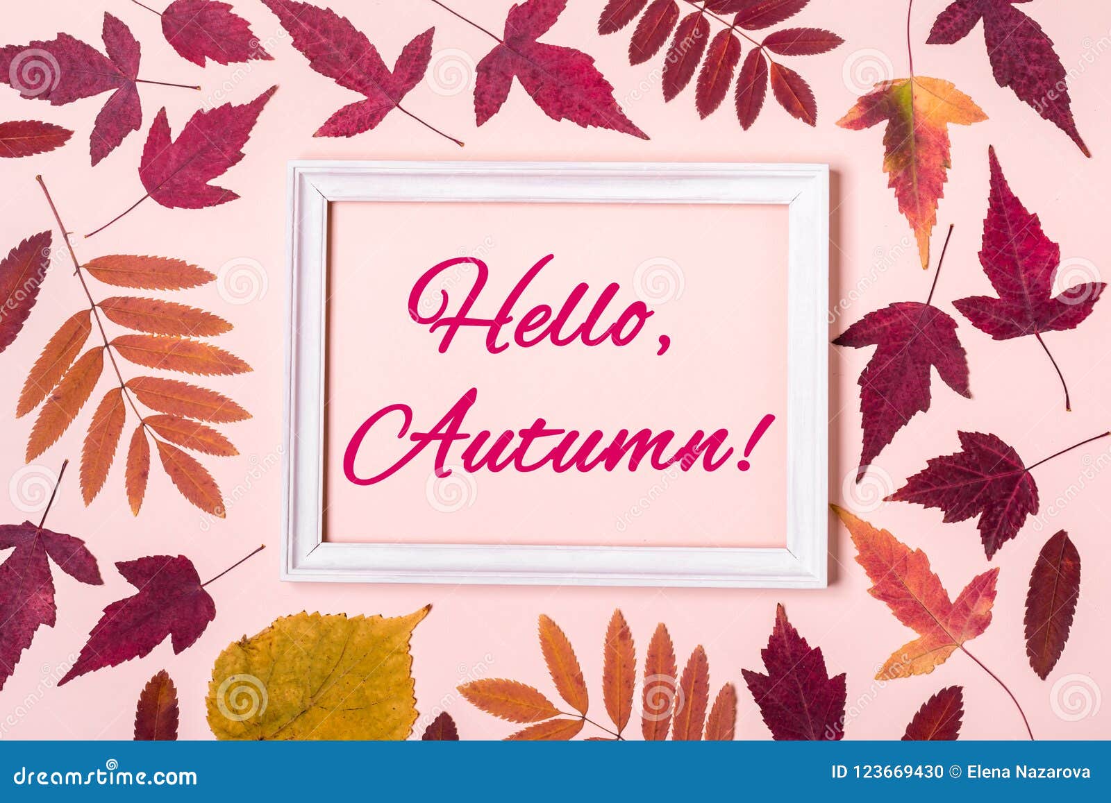Multicolored Autumn Leaves Frame. Hello, Autumn Words Stock Photo ...