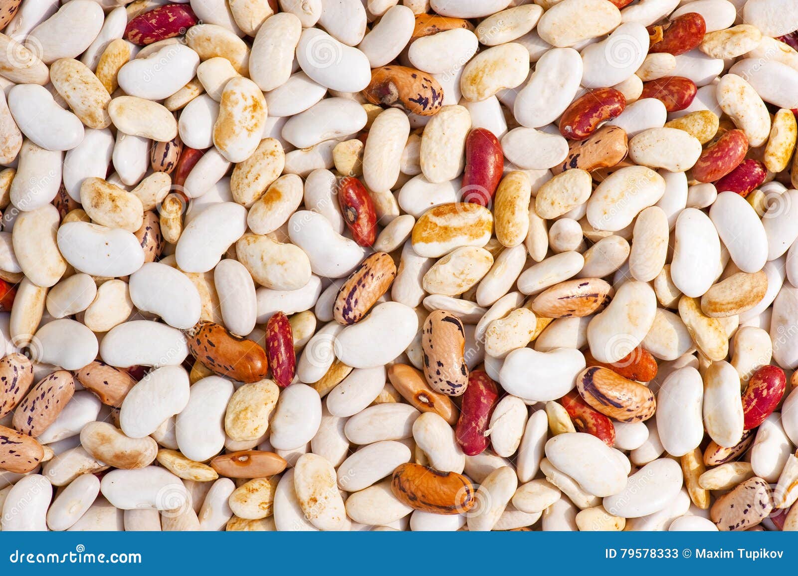 Multicolored Beans Organic Background Stock Image - Image of plate ...