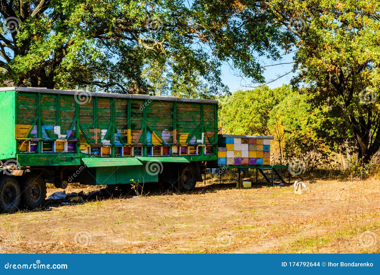 Multicolored Bee Hives at Apiary in the Forest Stock Photo - Image of ...
