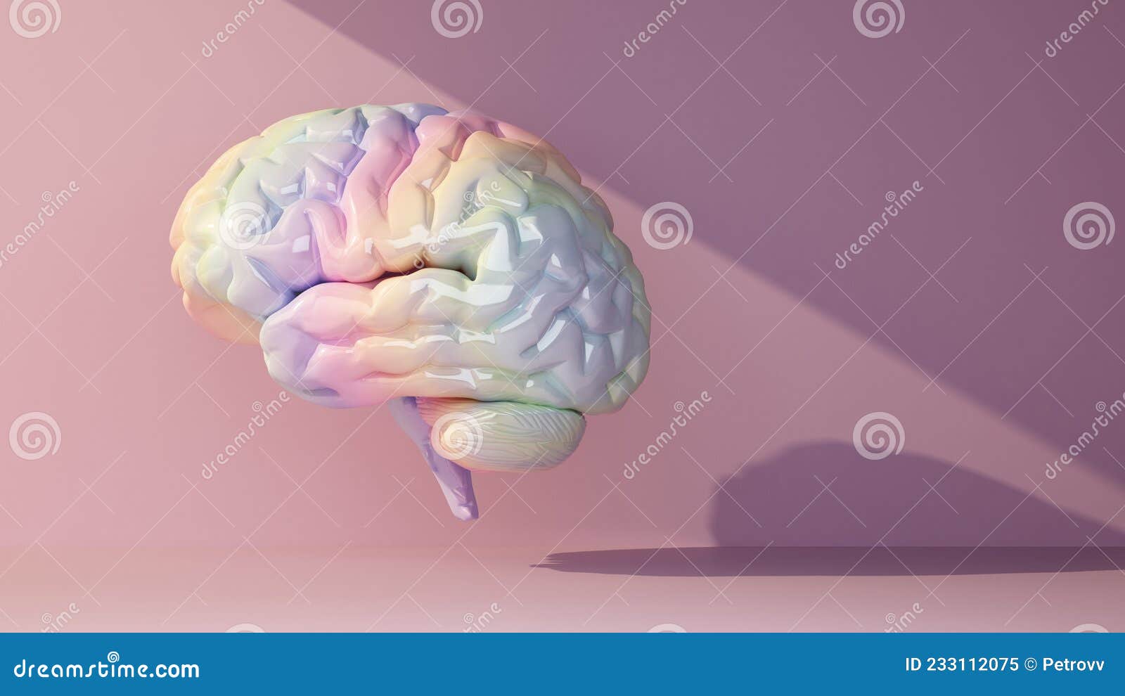 Brain Side View Diagram Of Human Nervous System Cartoon Vector ...